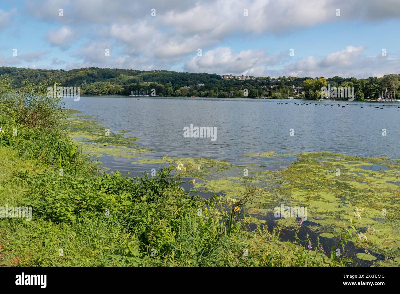 lake baldeney in essen germany Stock Photo - Alamy