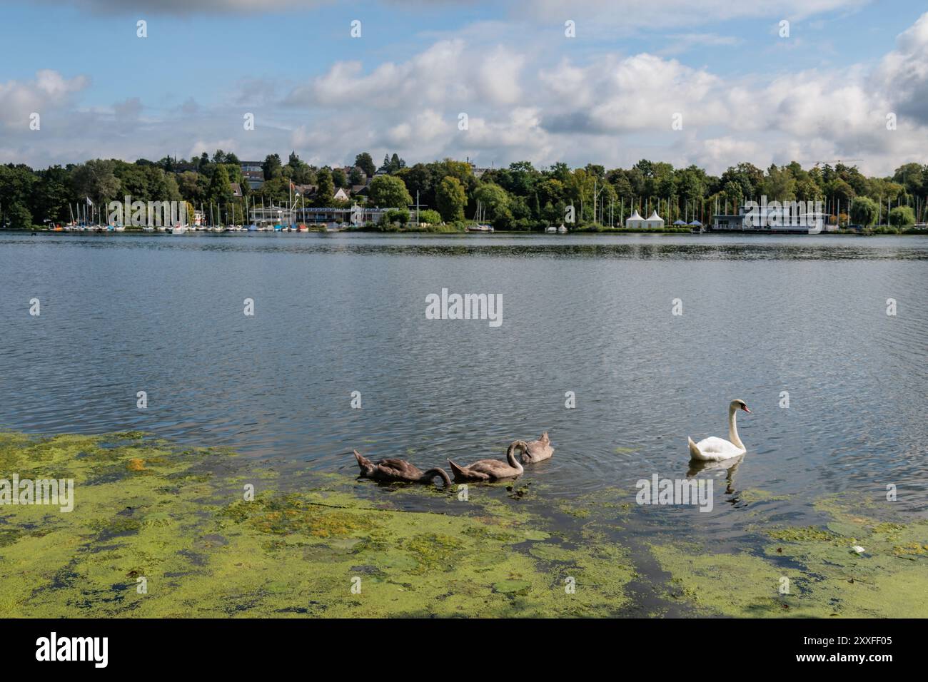 lake baldeney in essen germany Stock Photo - Alamy