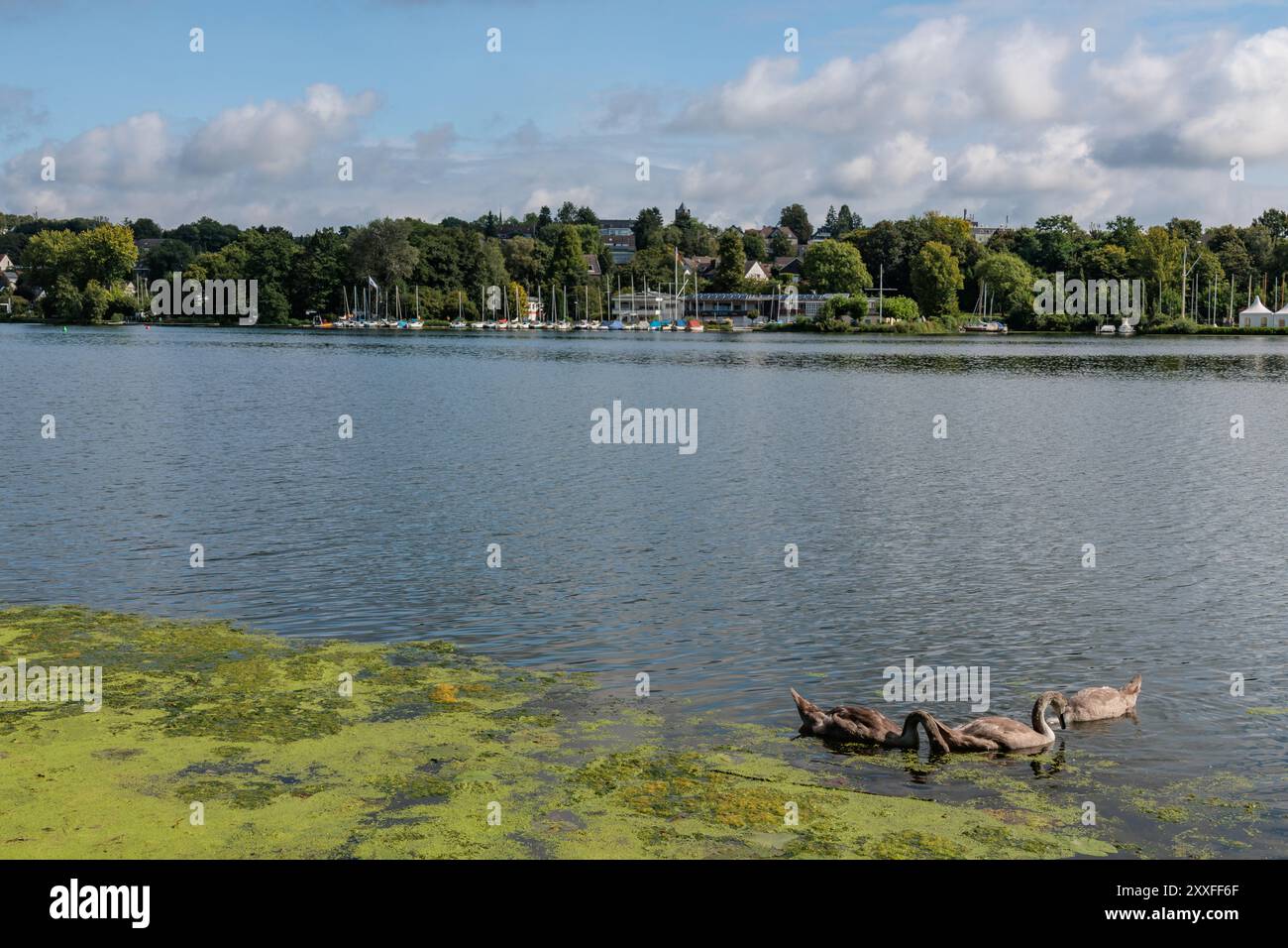 lake baldeney in essen germany Stock Photo - Alamy
