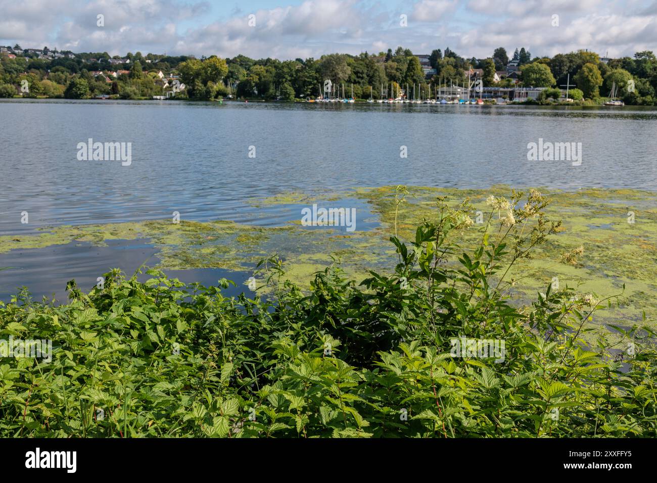 lake baldeney in essen germany Stock Photo - Alamy