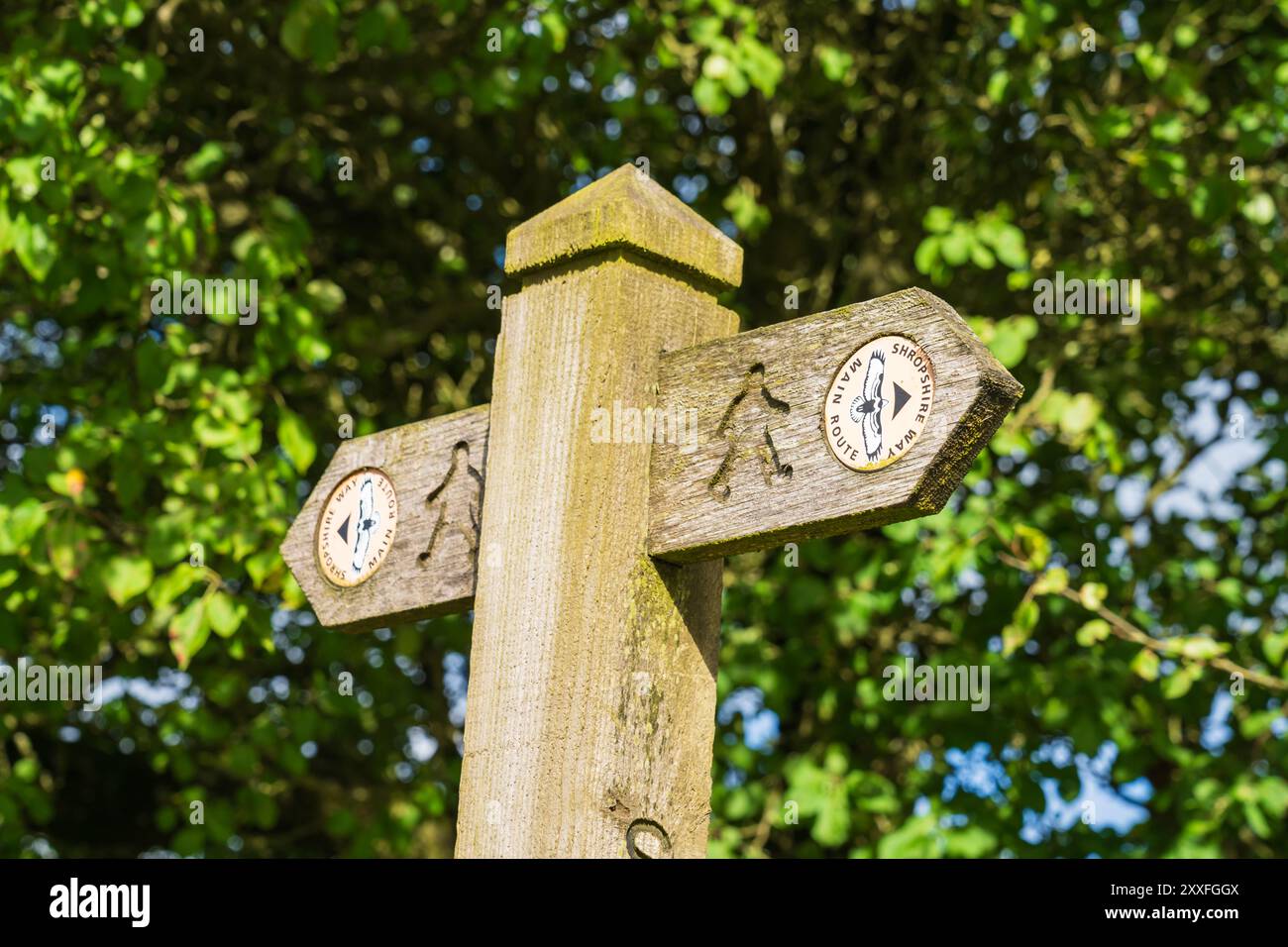 Wooden walking route sign hi-res stock photography and images - Alamy