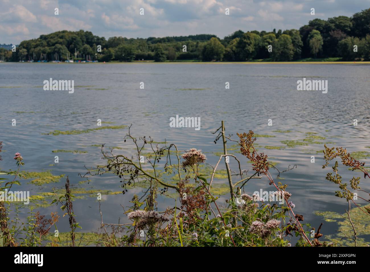 lake baldeney in essen germany Stock Photo - Alamy