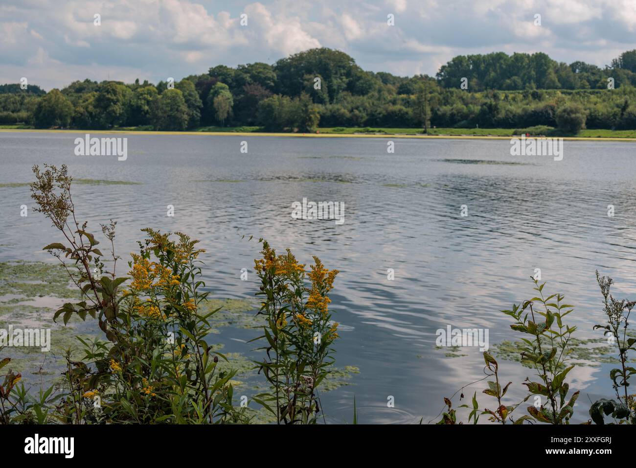 lake baldeney in essen germany Stock Photo - Alamy