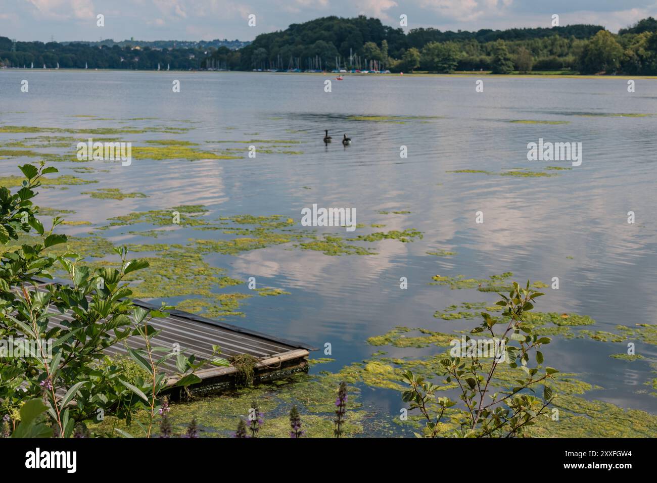 lake baldeney in essen germany Stock Photo - Alamy