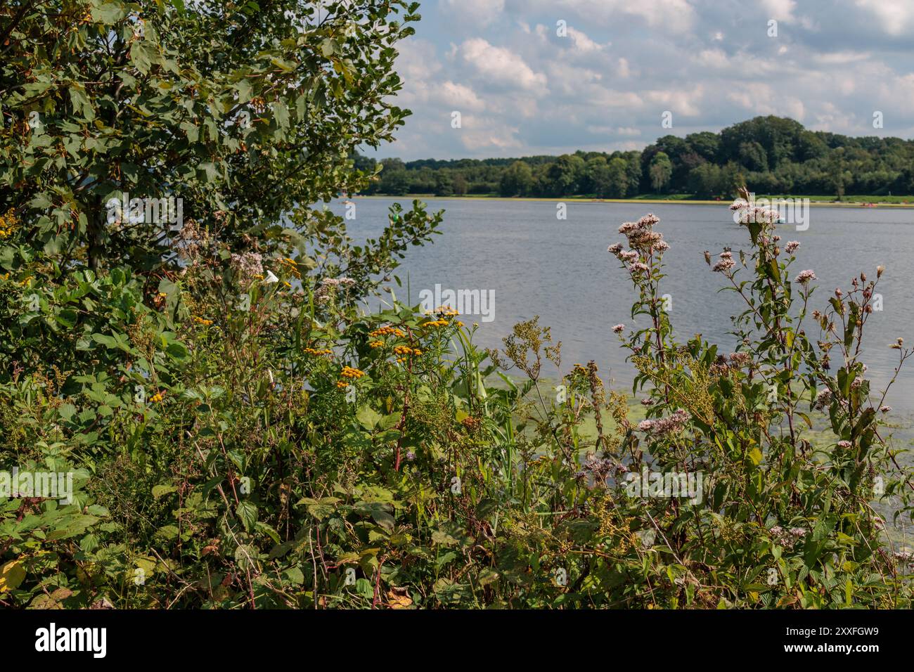 lake baldeney in essen germany Stock Photo - Alamy