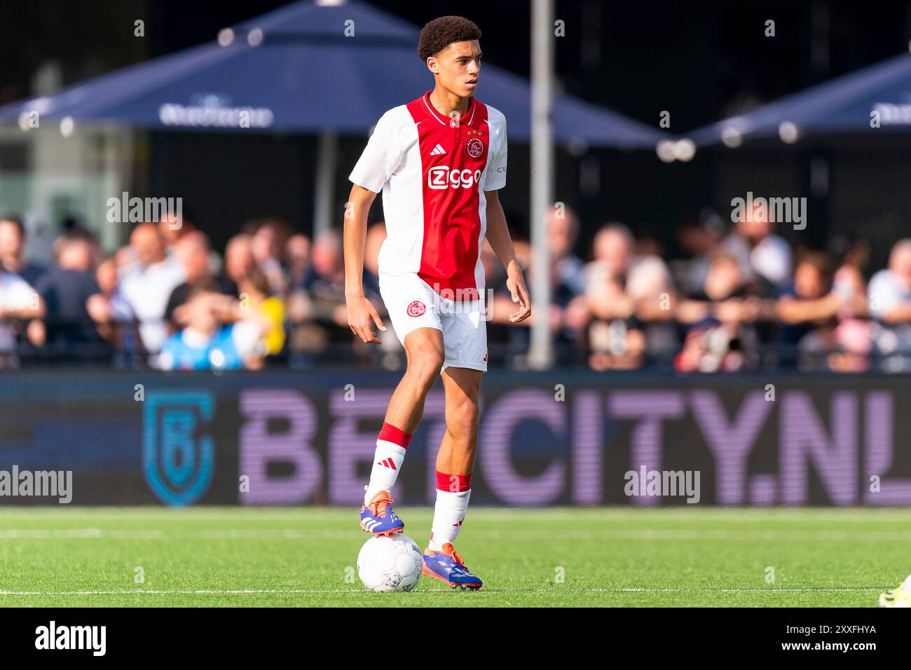 Aaron bouwman hi-res stock photography and images - Alamy