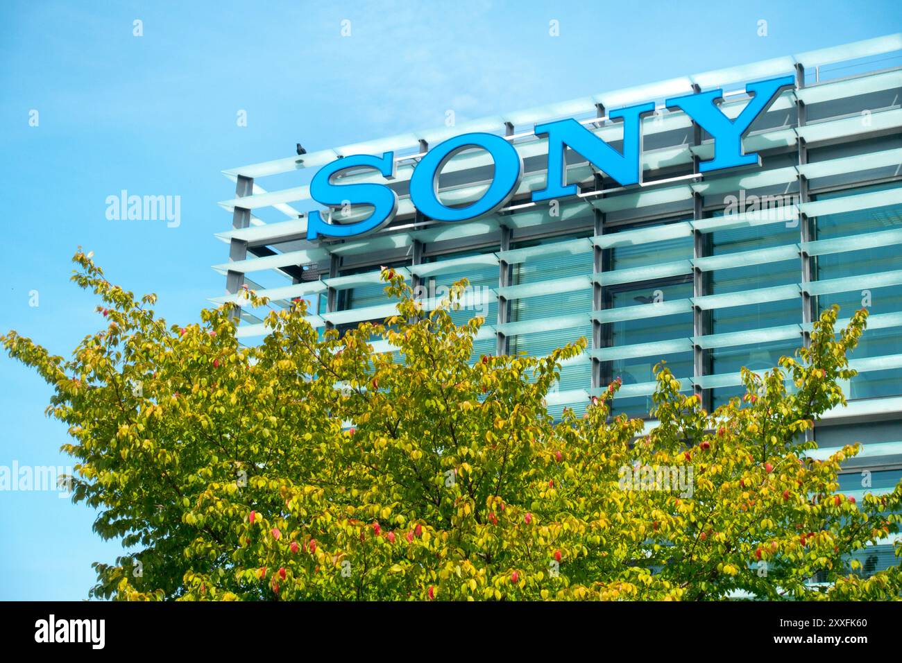 Sony a sign hi-res stock photography and images - Alamy