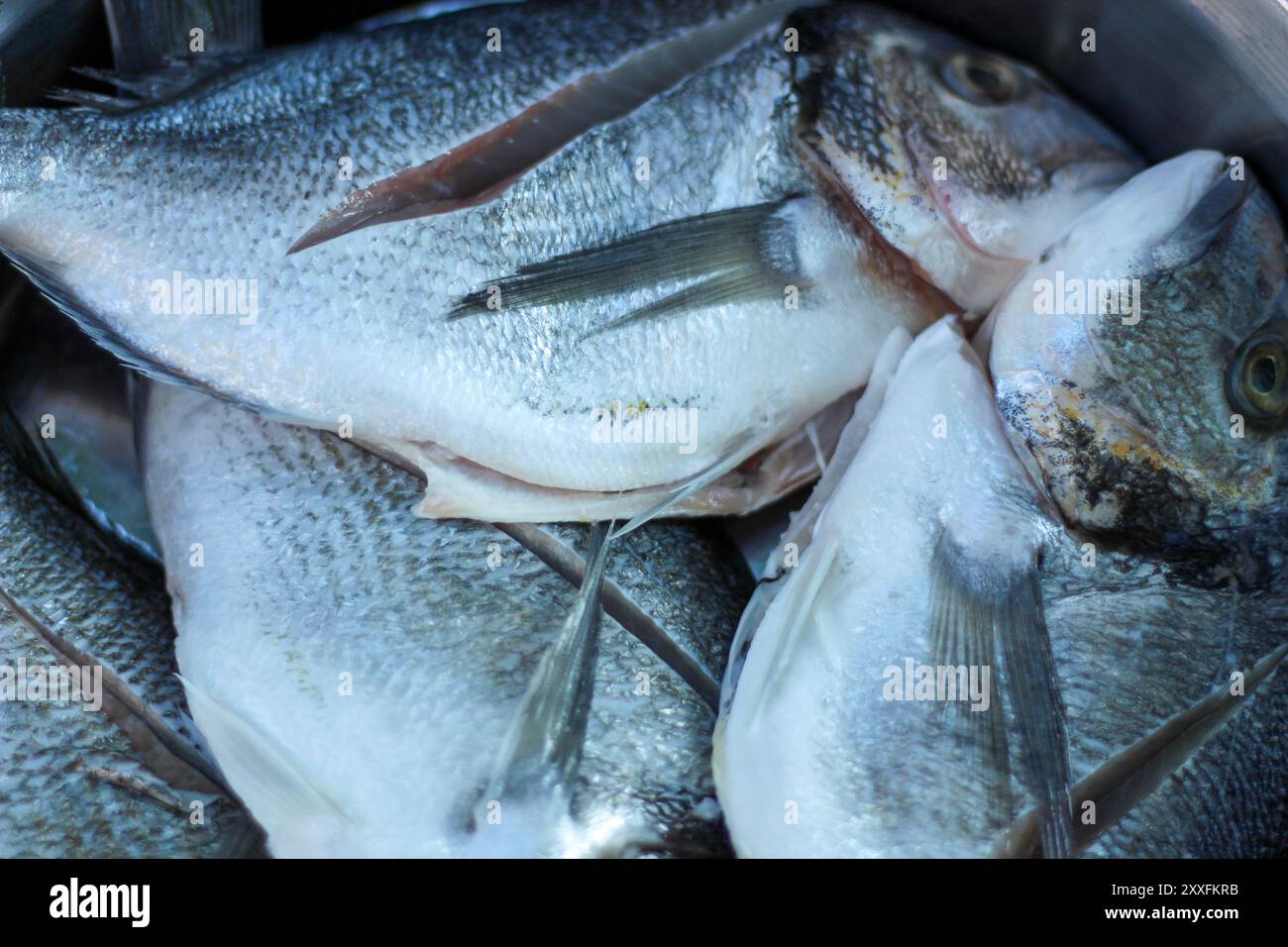 Preparation cooking raw fish hi-res stock photography and images - Alamy