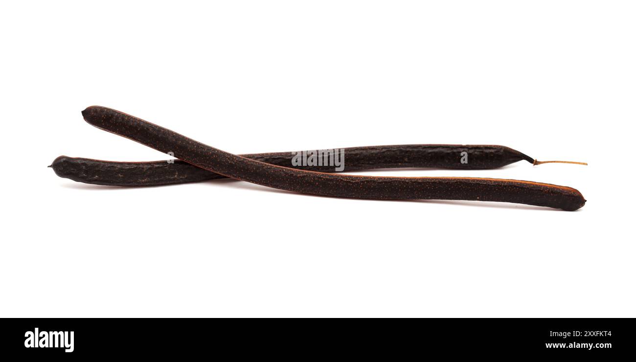 Logs seedpods of Senna spectabilis, golden wonder tree, isolated on ...