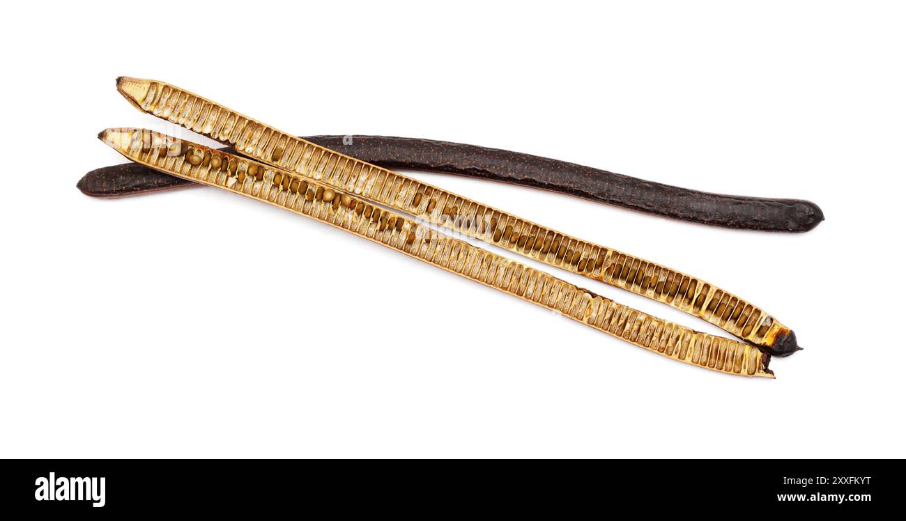 Logs seedpods of Senna spectabilis, golden wonder tree, isolated on ...