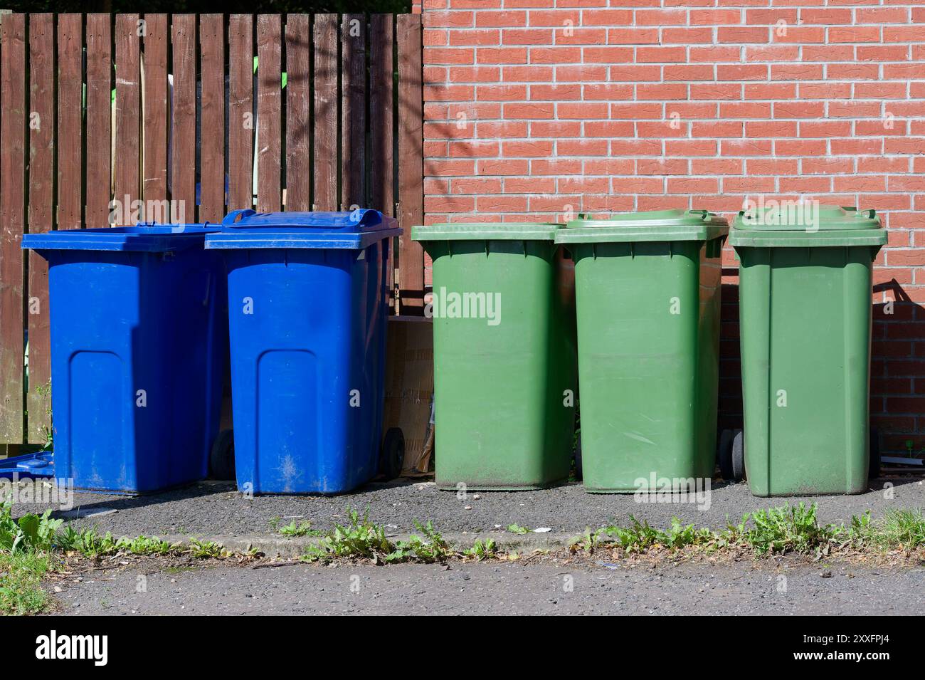 Wheelie bins in row for refuge collection outdoors Stock Photo - Alamy