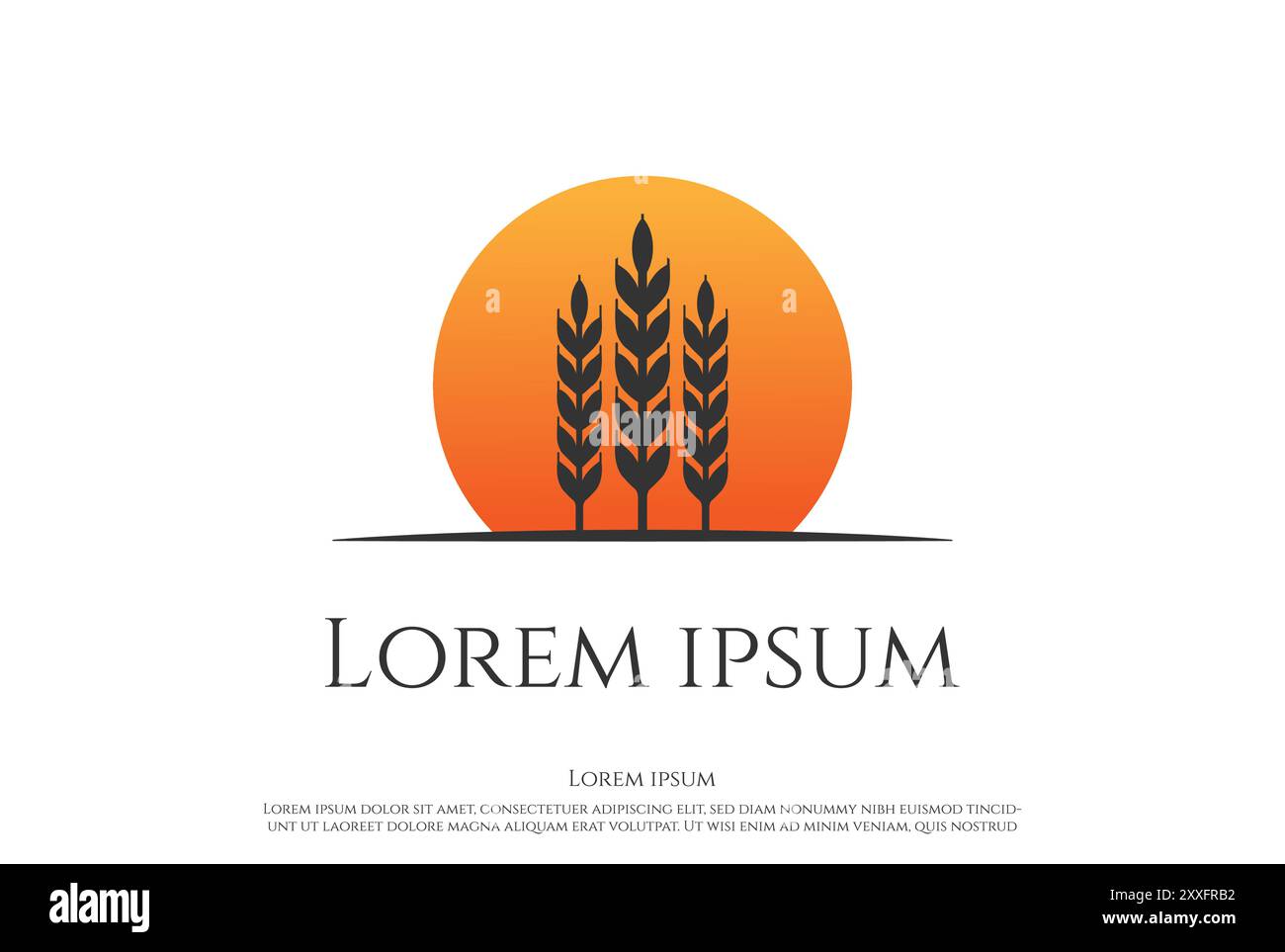 Sunset Sunrise Grain Wheat Rice Grass for Bakery or Brewery Logo Design ...
