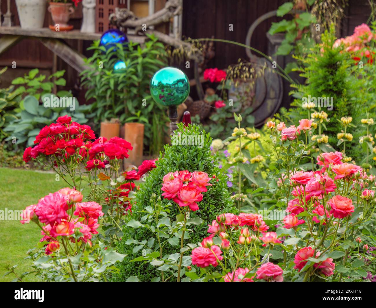 summer flowers in germany Stock Photo - Alamy
