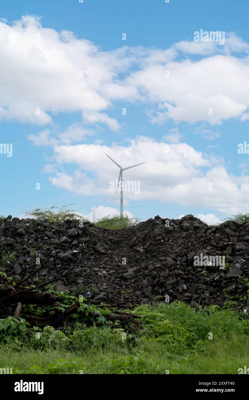 Flourishing Green Peanut Farm in Rural Agricultural Terrain Stock Photo ...