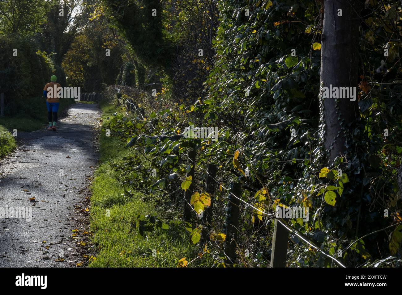 Man running on pathway at River Doon, Ayrshire, Scotland Stock Photo ...