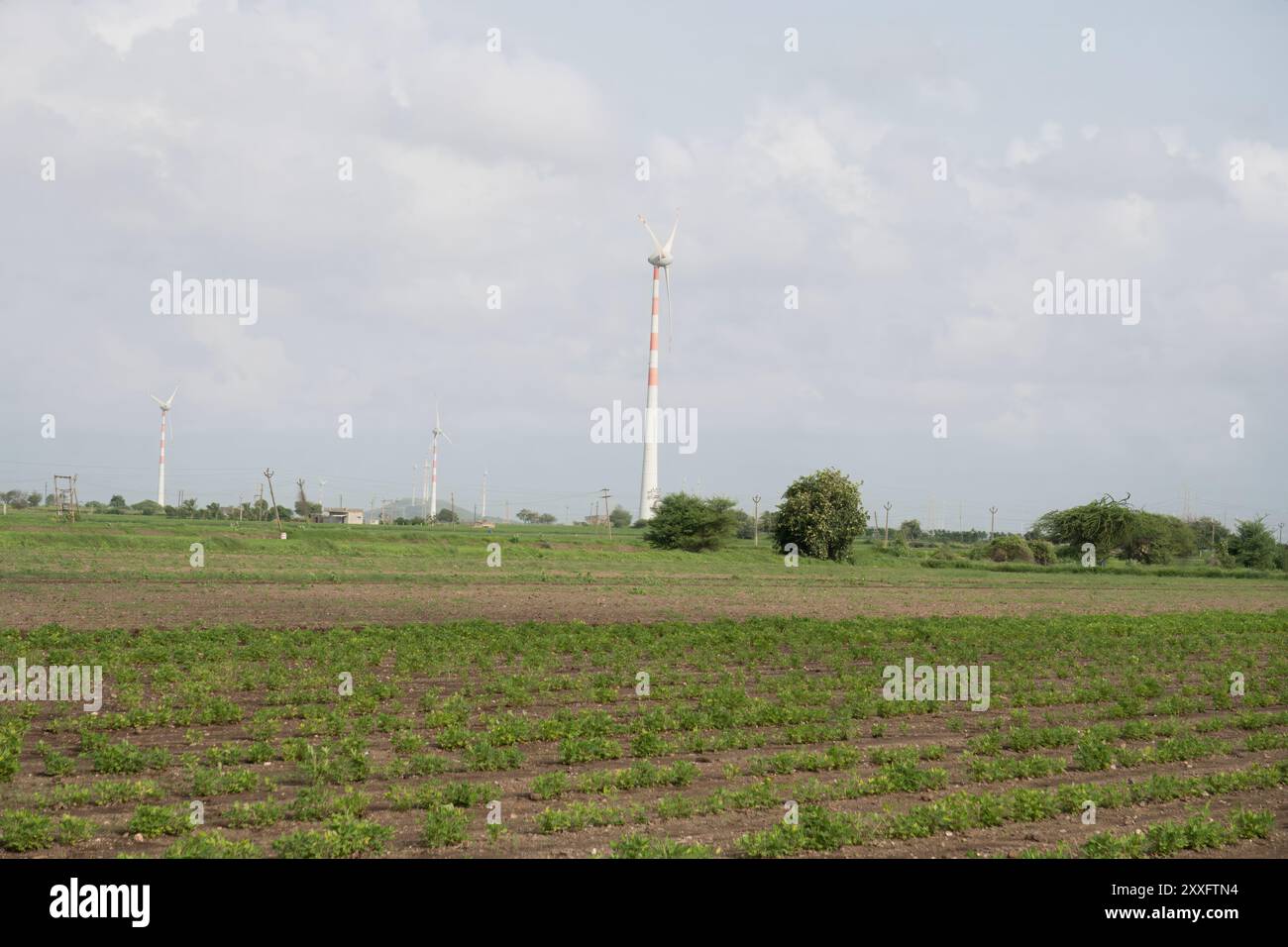 Sustainable Energy Harvest: Wind Turbines Over Farmland Stock Photo - Alamy