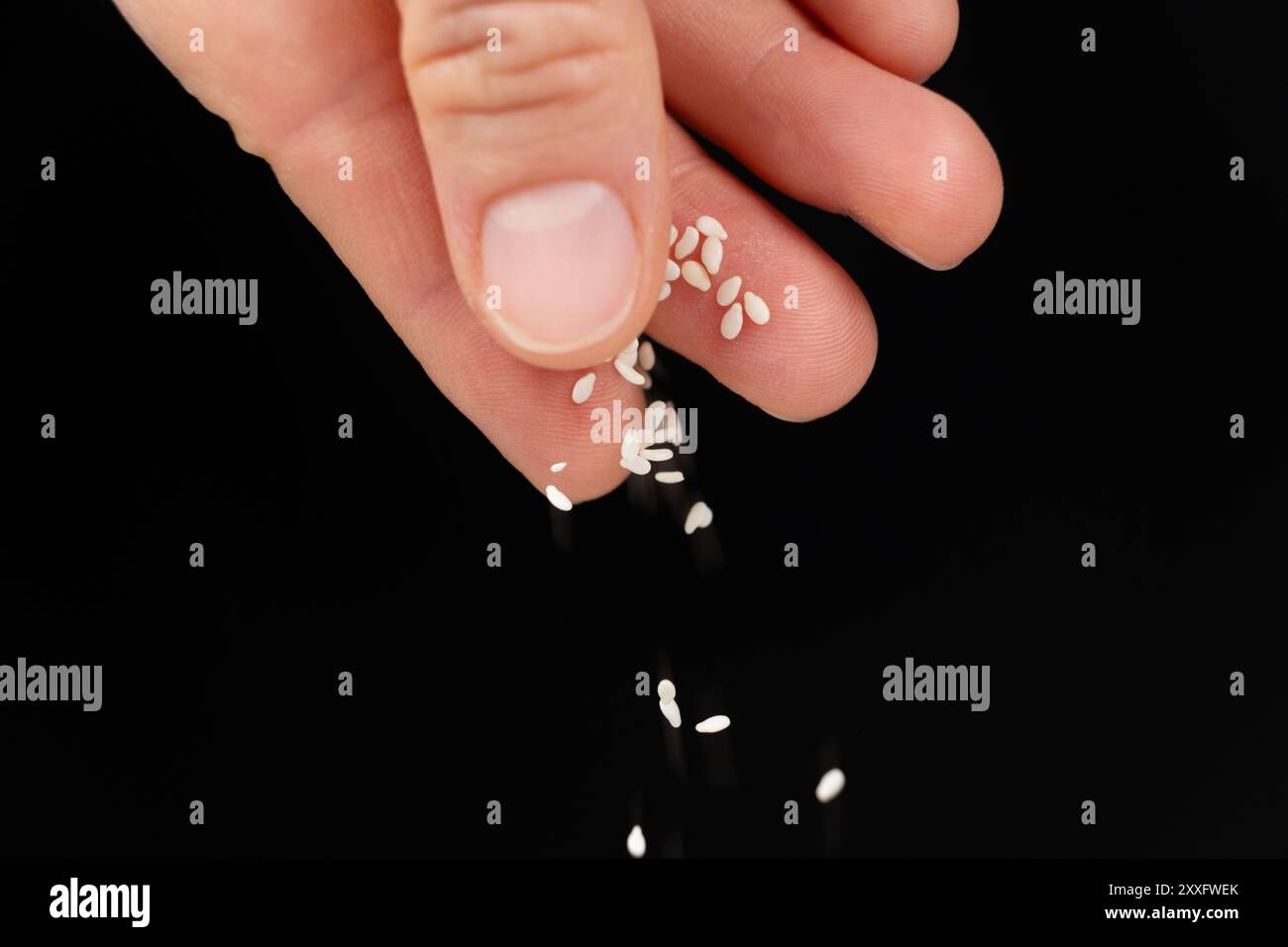 White peeled sesame seeds pouring hi-res stock photography and images ...