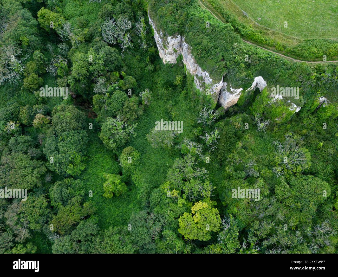 Bindon cliffs hi-res stock photography and images - Alamy