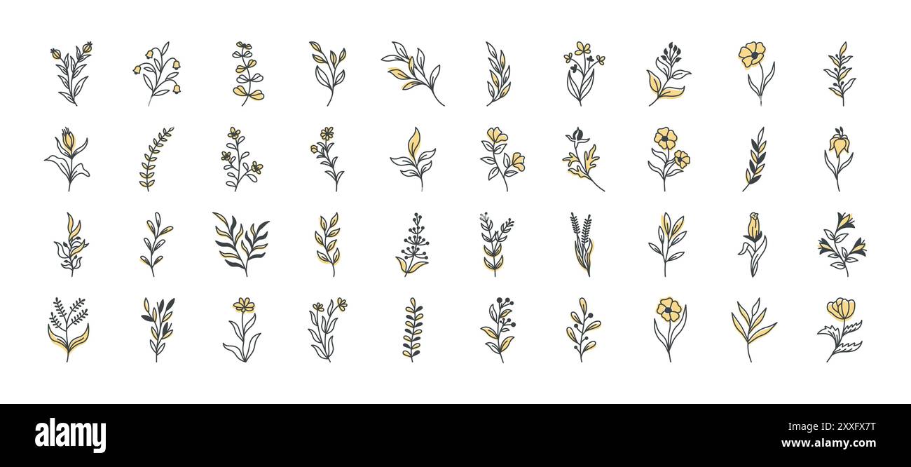 Hand drawn line aesthetic flowers set, vector minimal floral element ...