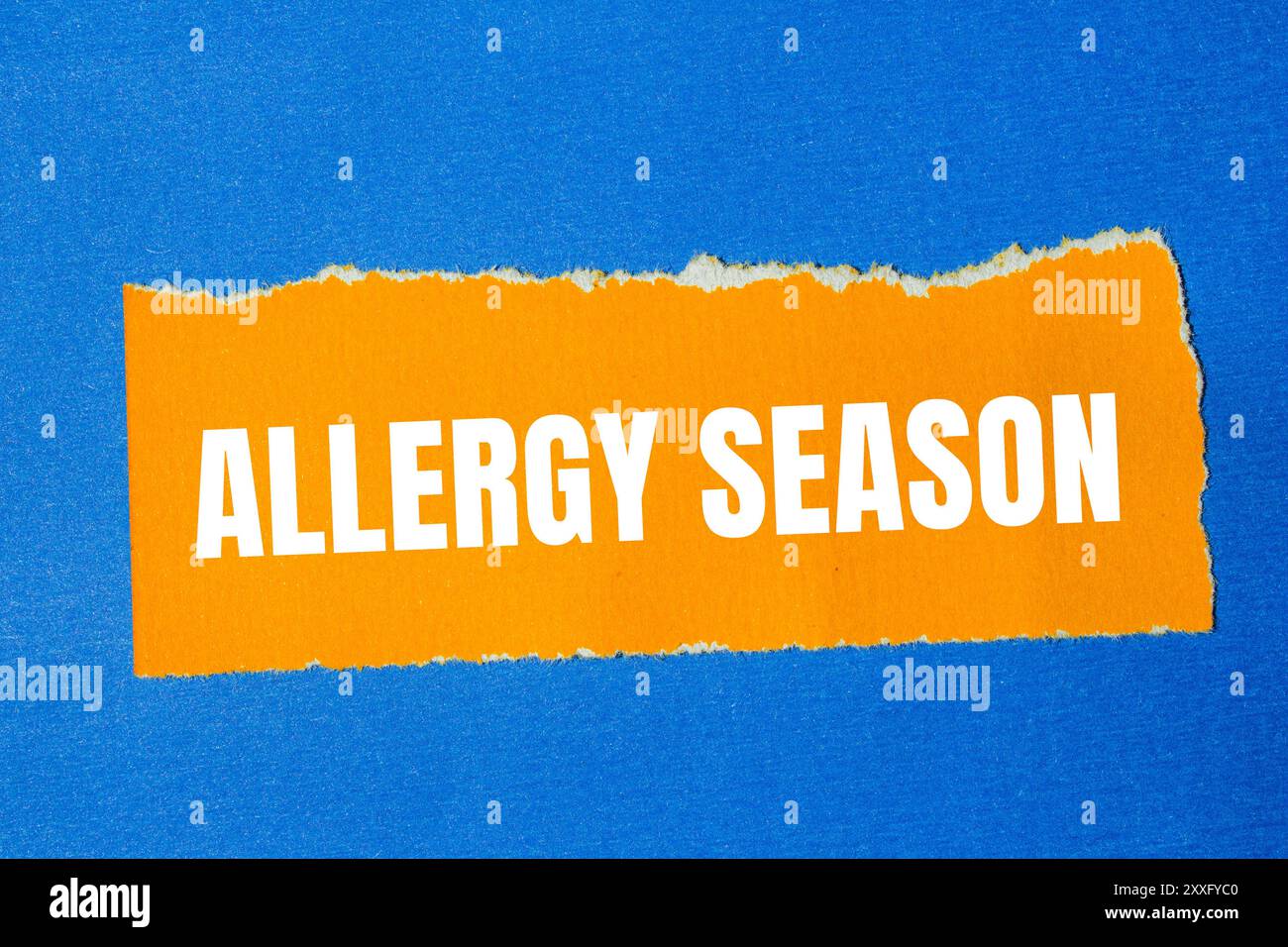 Allergy season message written on ripped torn orange paper with blue ...
