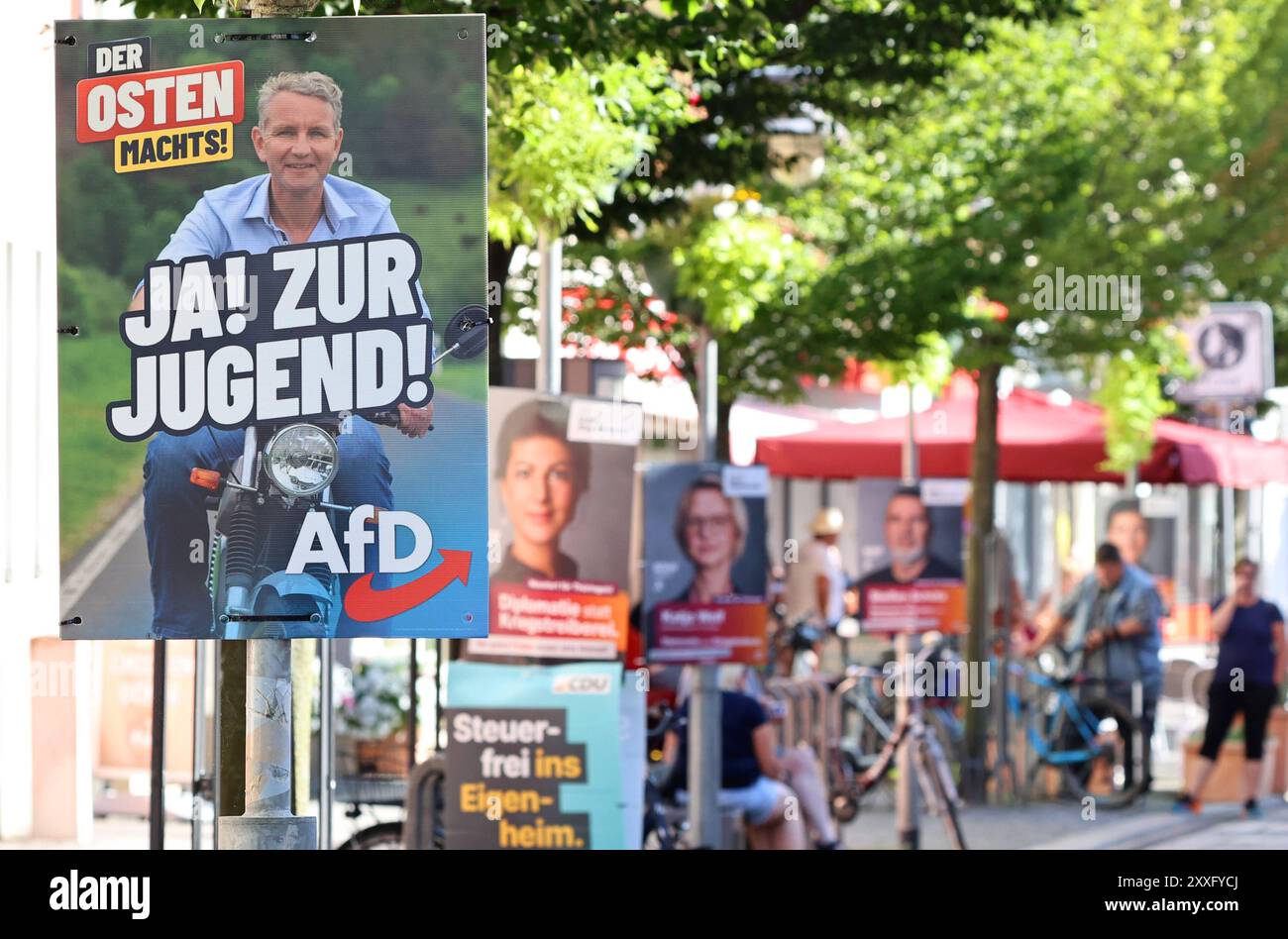 Sommerfest AfD 24.08.2024, Soemmerda, Wahlplakate in der Stadt - AfD ...