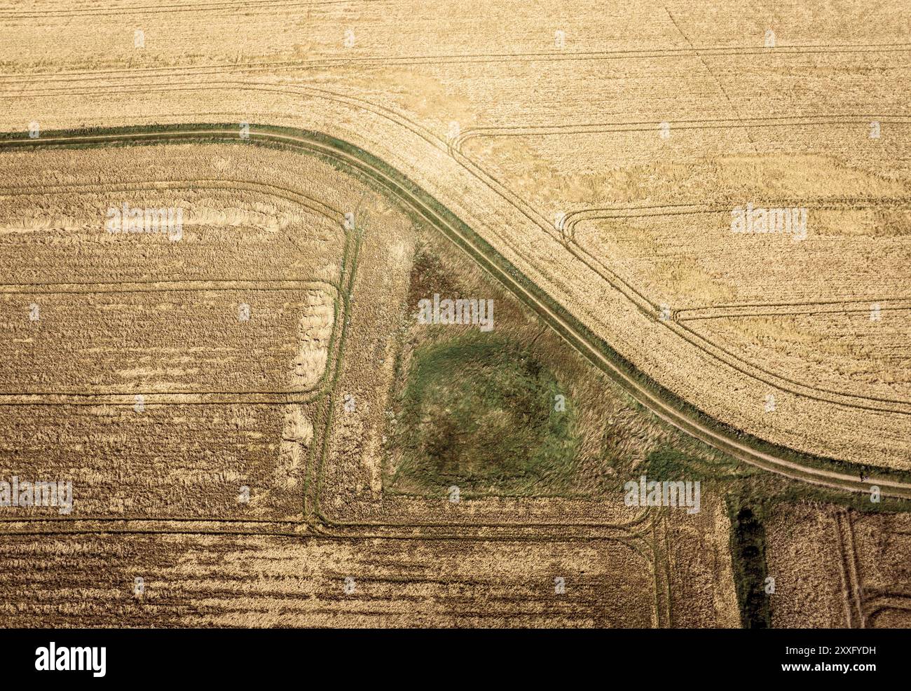 Aerial view of a road curving through a wheat field in rural north ...