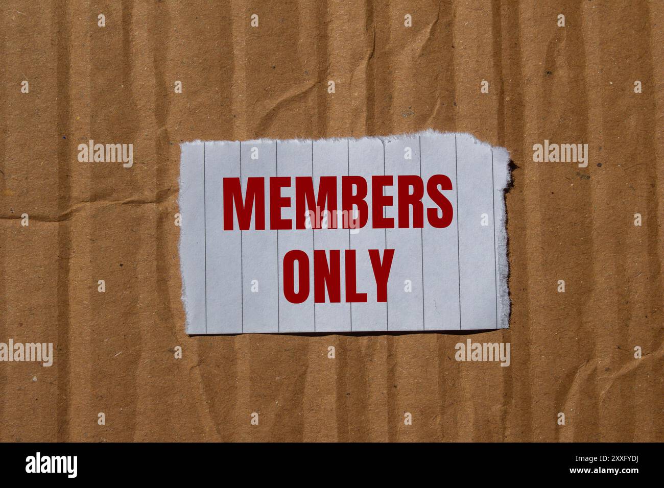 Members only message written on ripped torn paper with cardboard background. Conceptual members ...