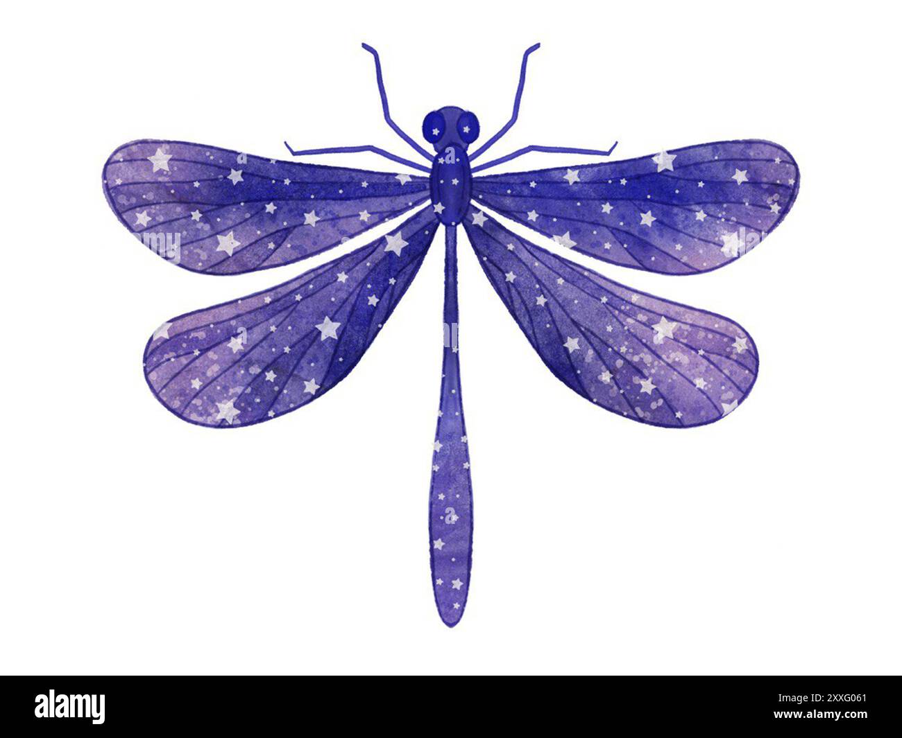Watercolor cosmic dragonfly isolated on the white background. Hand ...