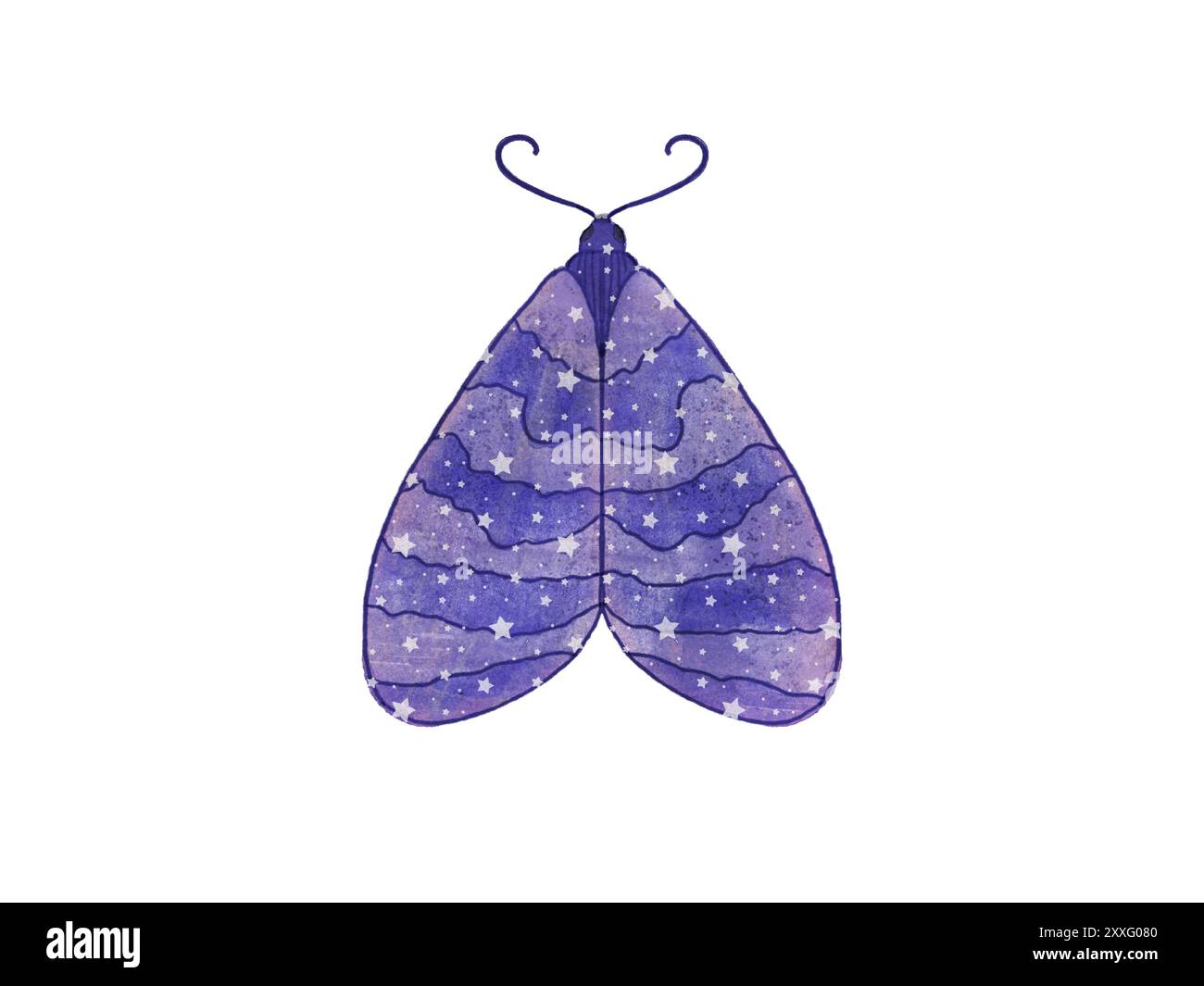 Watercolor galaxy small moth isolated on the white background. Hand ...