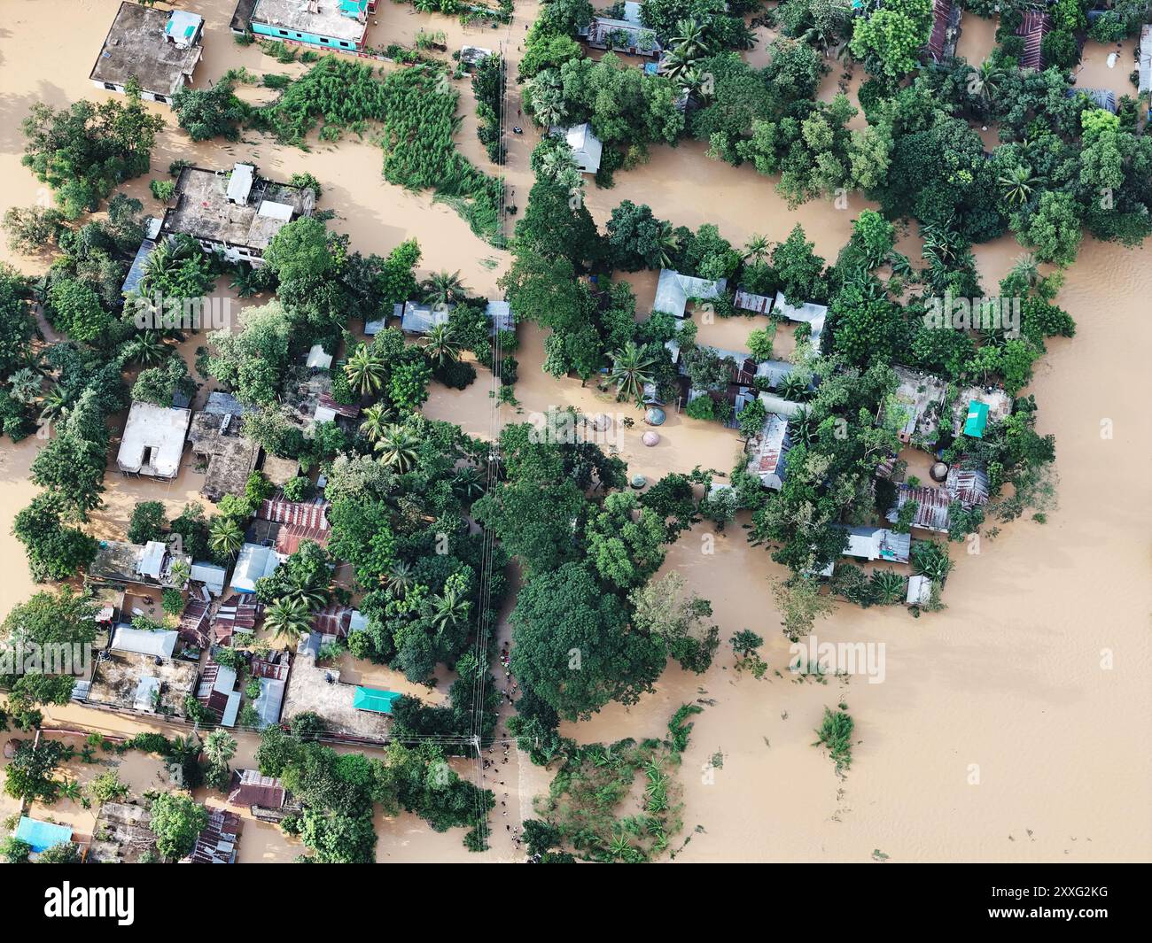 Dhaka, Bangladesh. 24th Aug, 2024. People walk in flood water at the ...