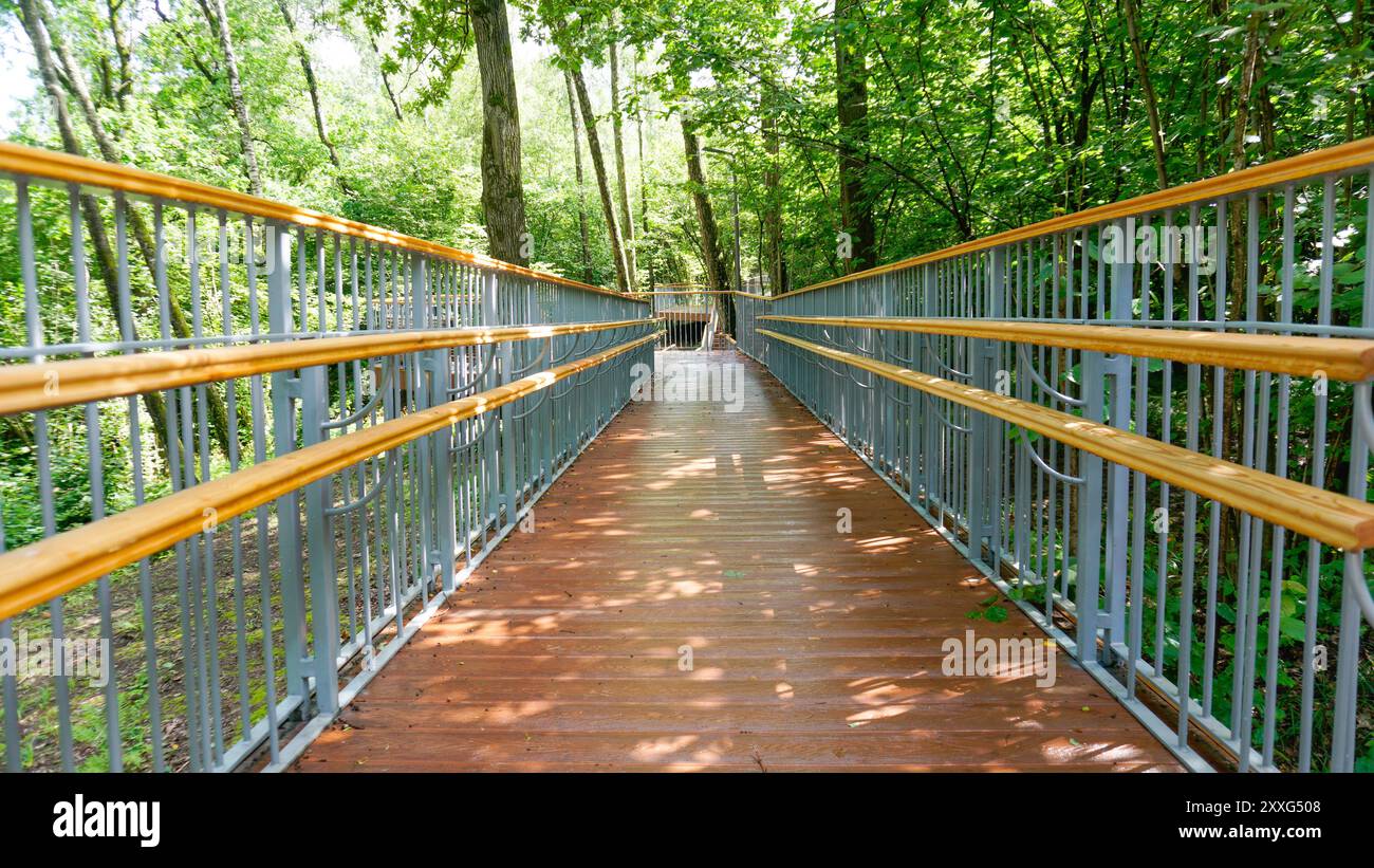 green forest peaceful outdoor scenic leisure nature park grass bench ...