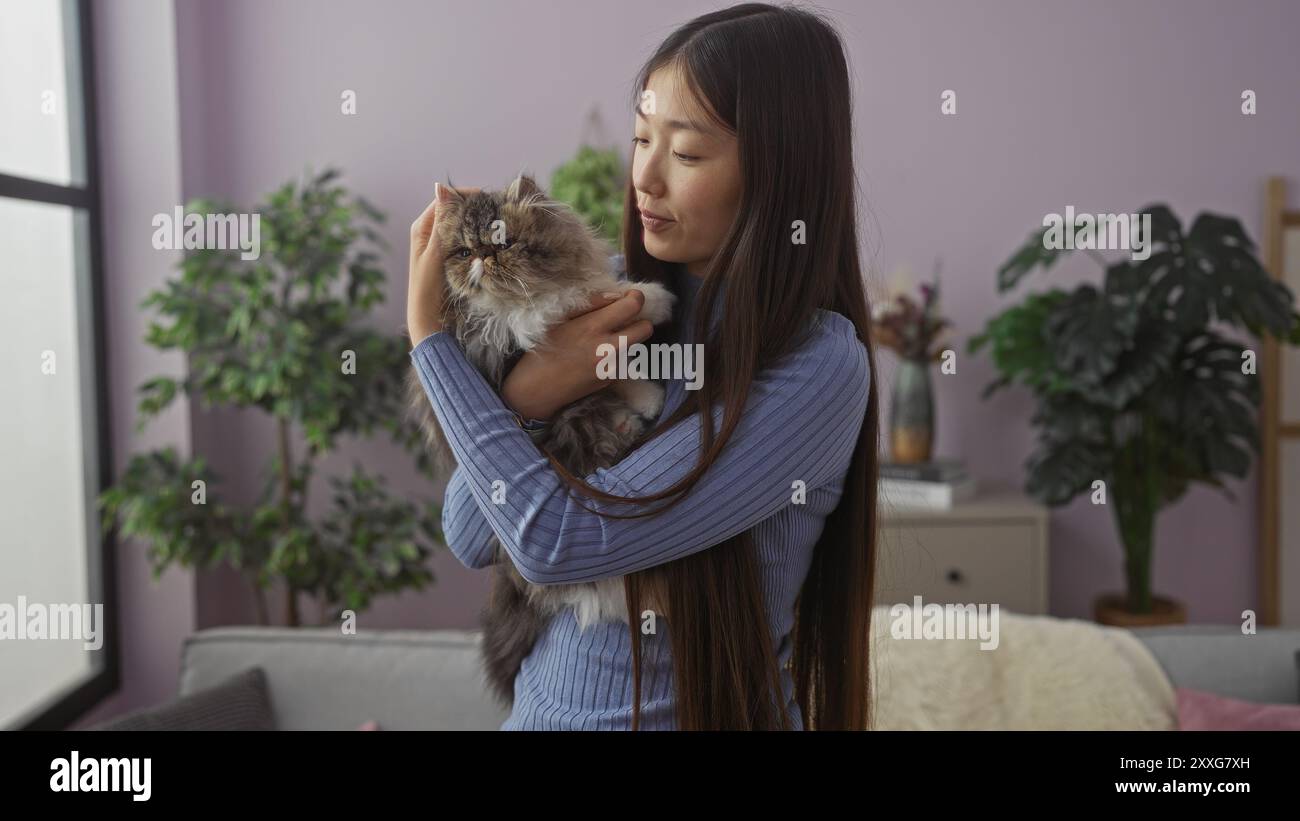 A young chinese woman is holding her pet cat indoors in a cozy living ...