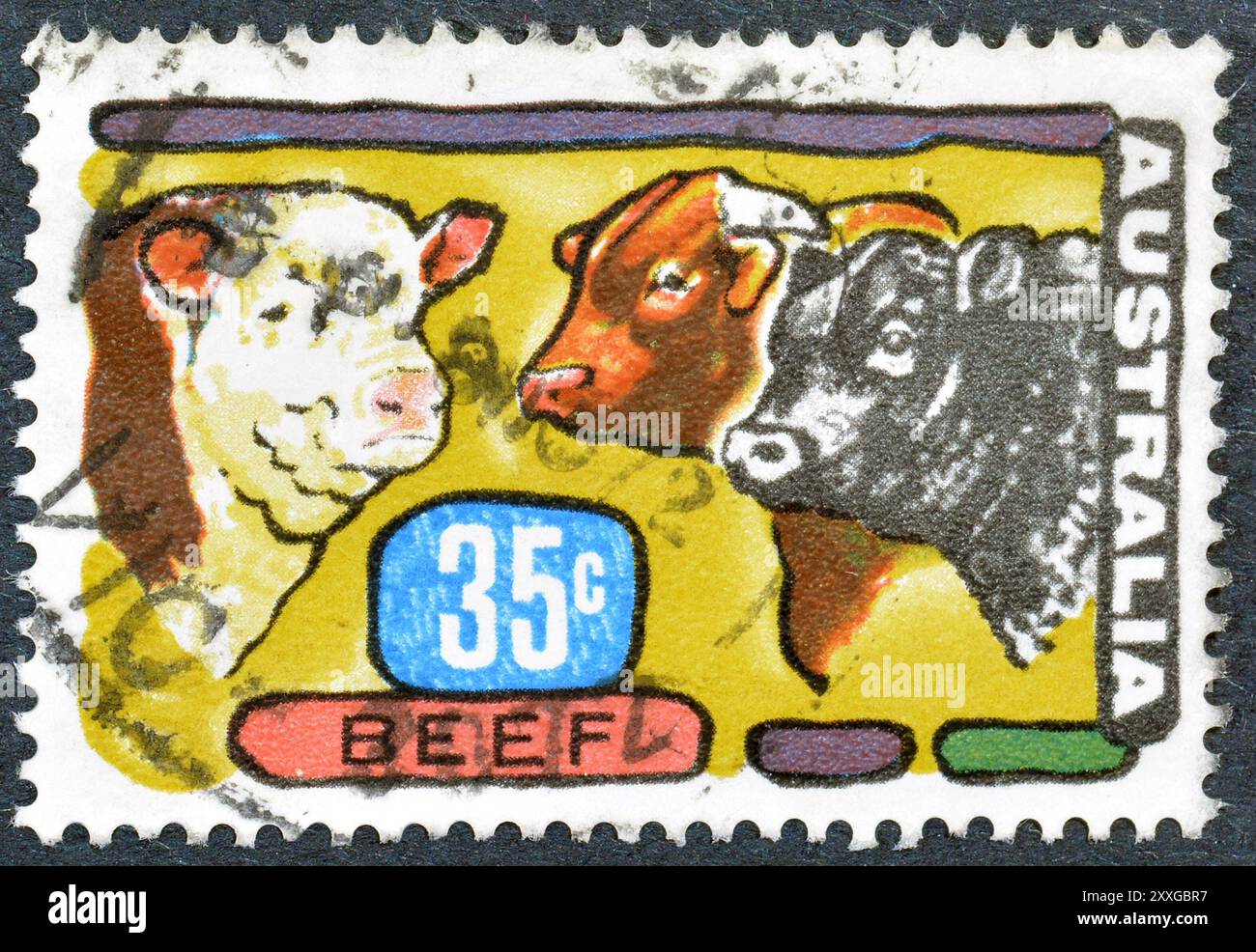 Cancelled postage stamp printed by Australia, that shows Cattle ...