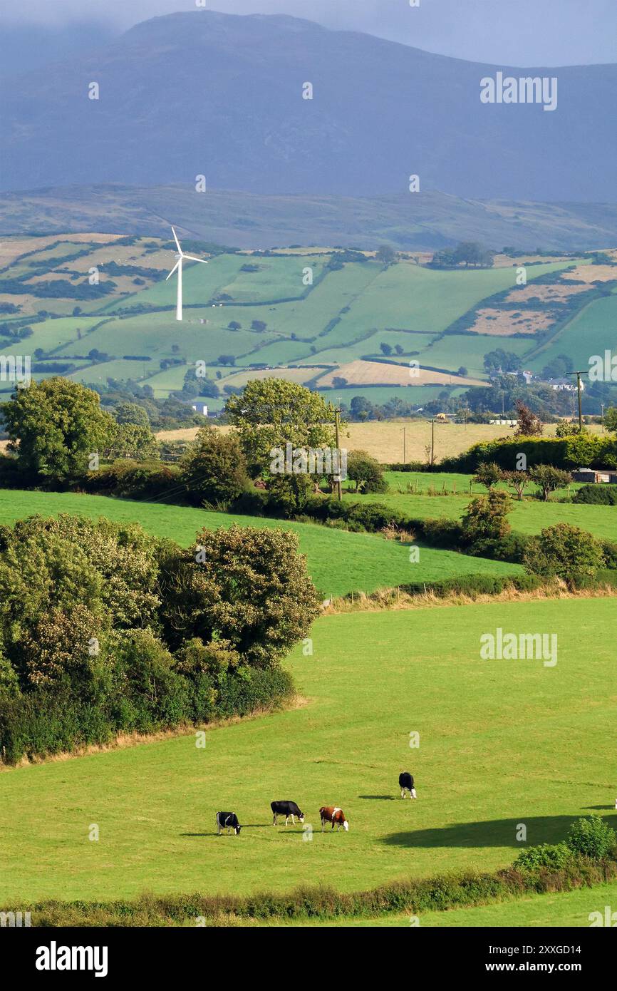 Rathfriland, County Down, Northern Ireland, UK, 24Aug 2024. UK weather ...