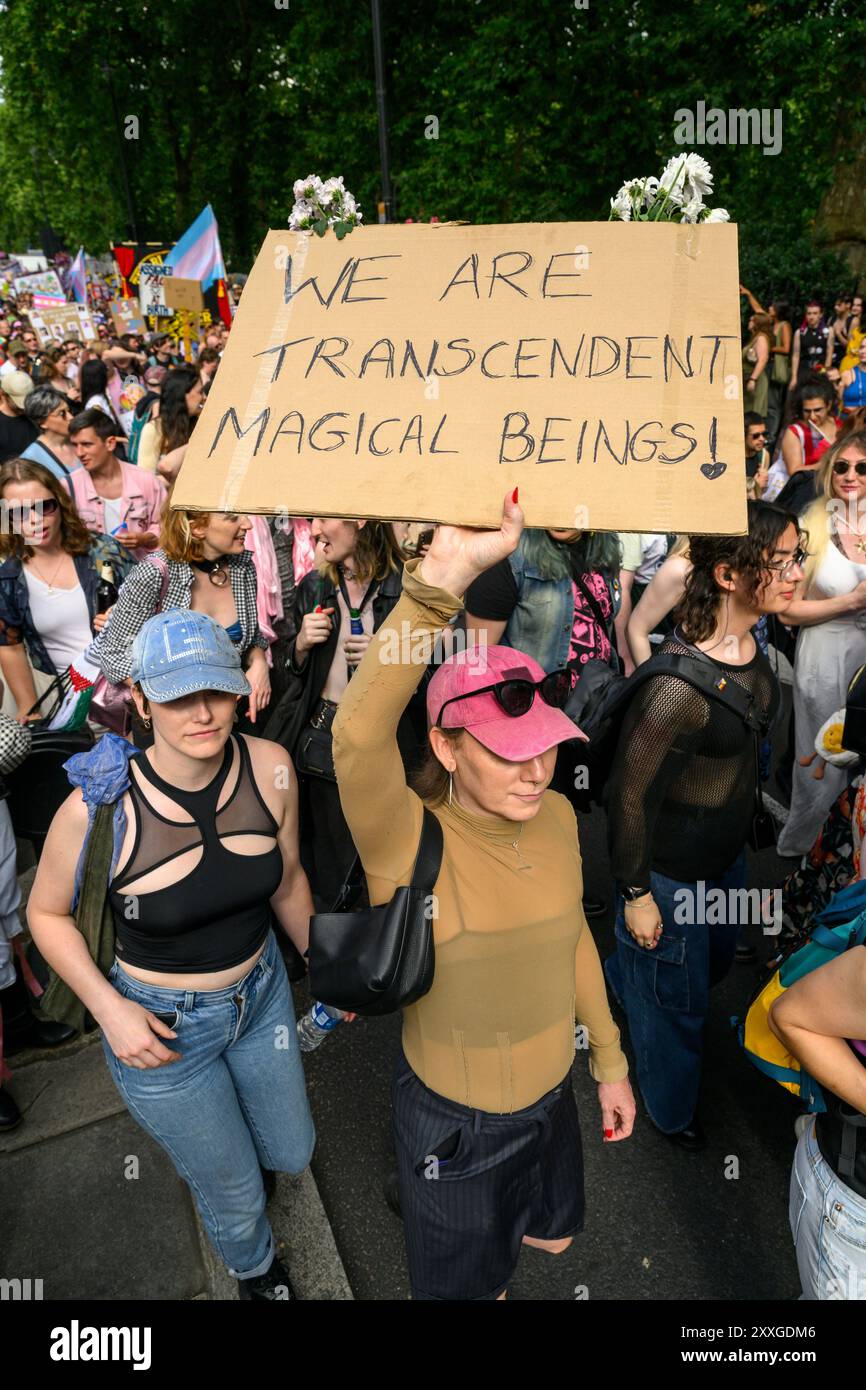 Marchers on the London Trans+ Pride march advocating for greater ...