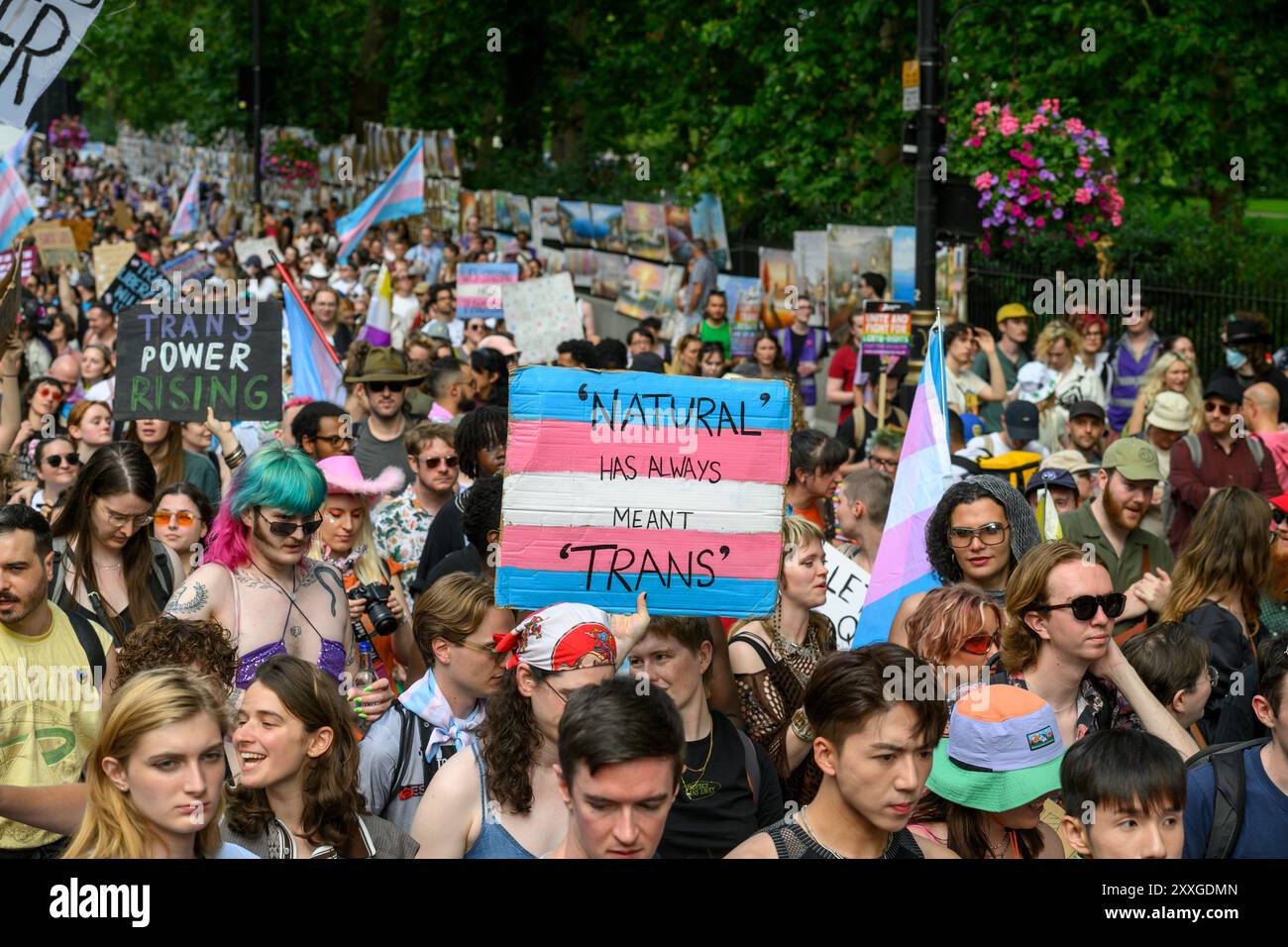 Marchers on the London Trans+ Pride march advocating for greater ...