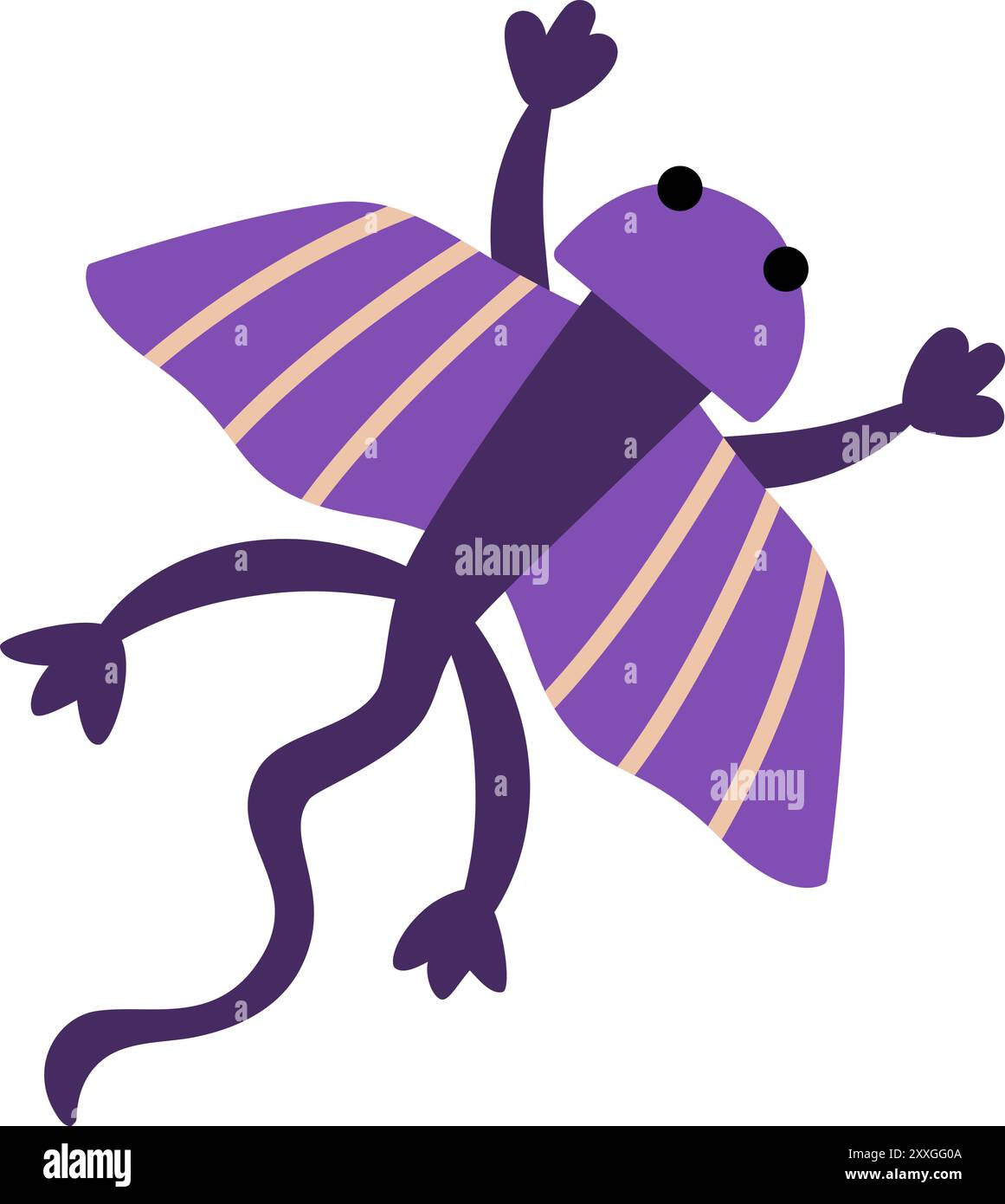 Flying Lizard Logo Framed Flying Lizard Draco Sp. | Evolution Store