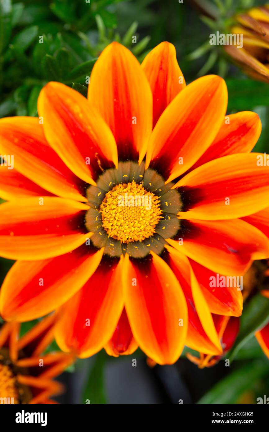 Flame kiss hi-res stock photography and images - Alamy