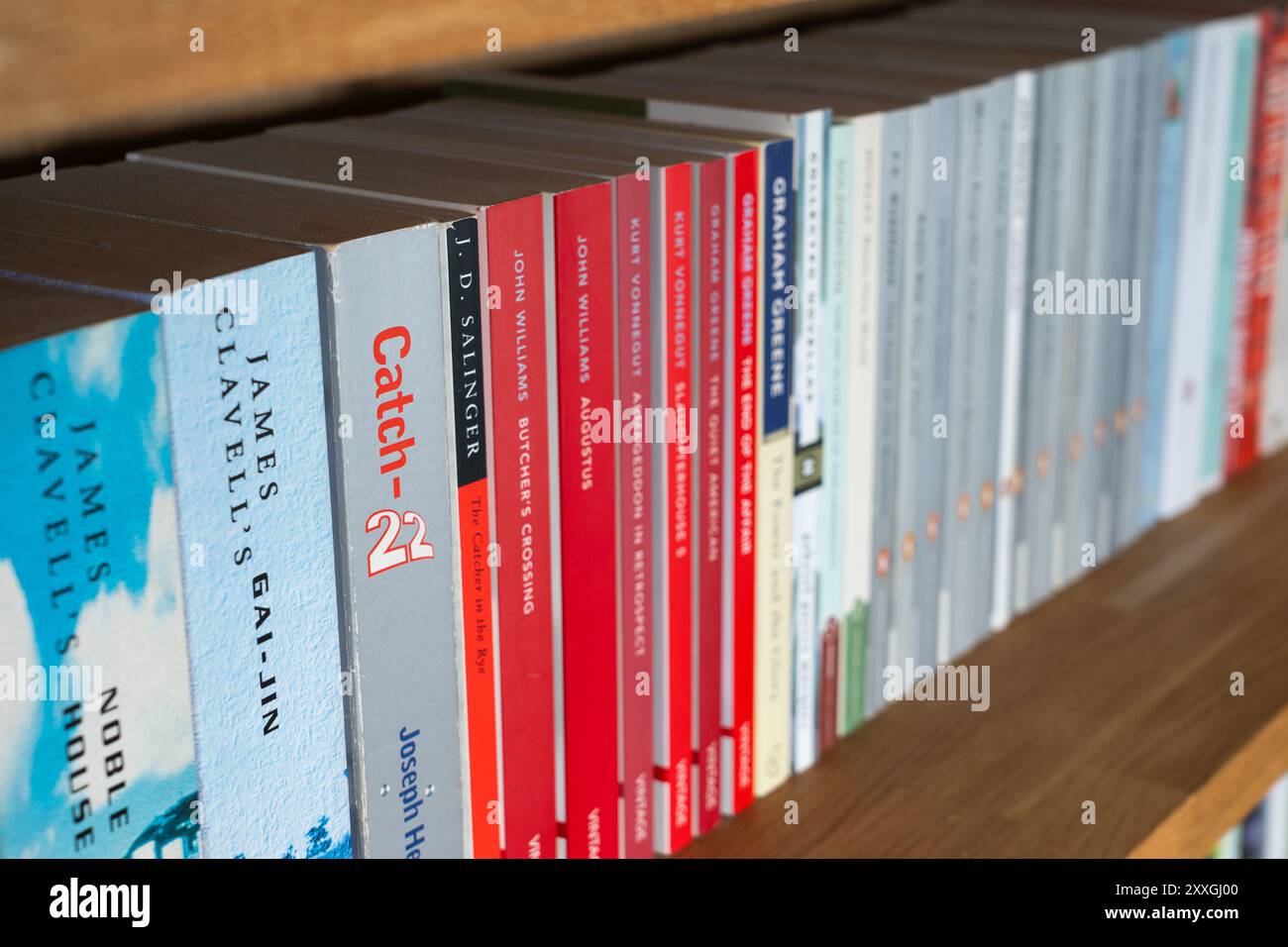Adult books in the English language on a bookshelf at home, England ...