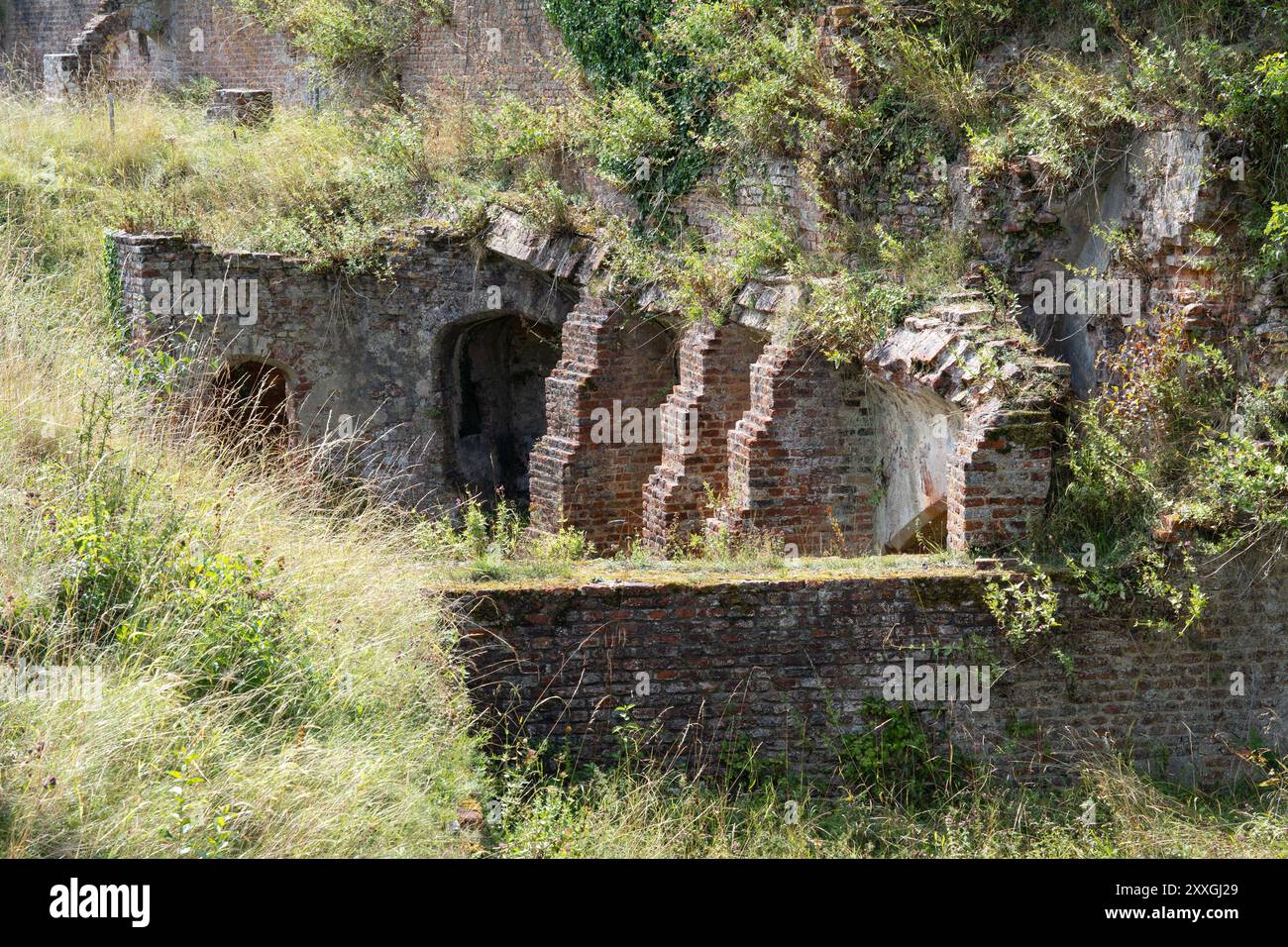 Brick arches, buttressed walls and cellar foundations - Basing House ...