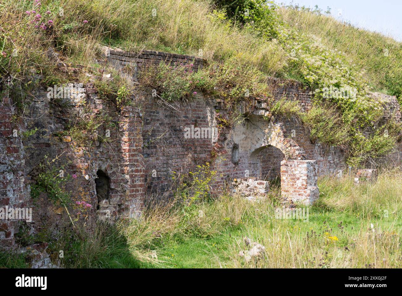 Brick arches, buttressed walls and cellar foundations - Basing House ...