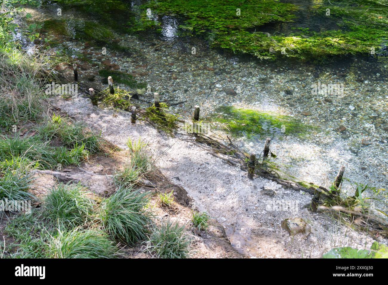 Chalk bed River Loddon in Basingstoke, with full bank erosion bypassing ...