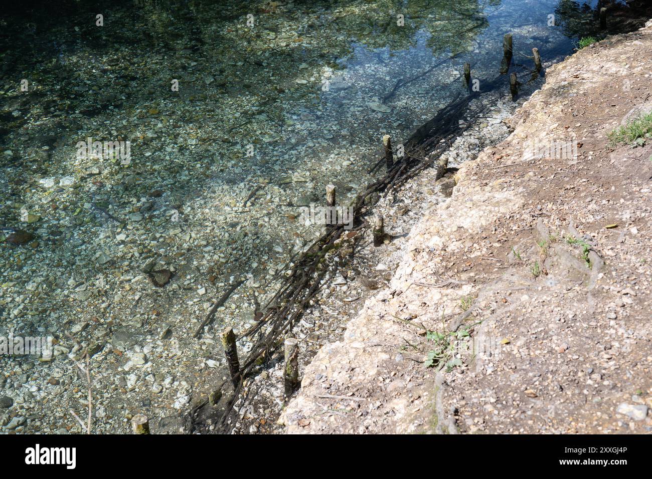 Chalk bed River Loddon in Basingstoke, with full bank erosion bypassing ...