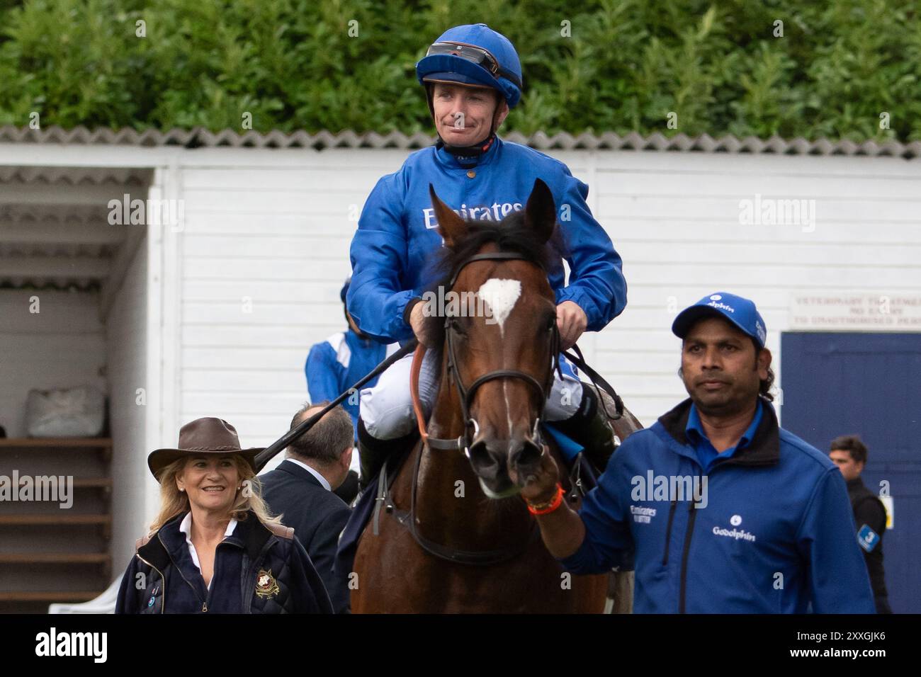 Midnight thunder horse hi-res stock photography and images - Alamy