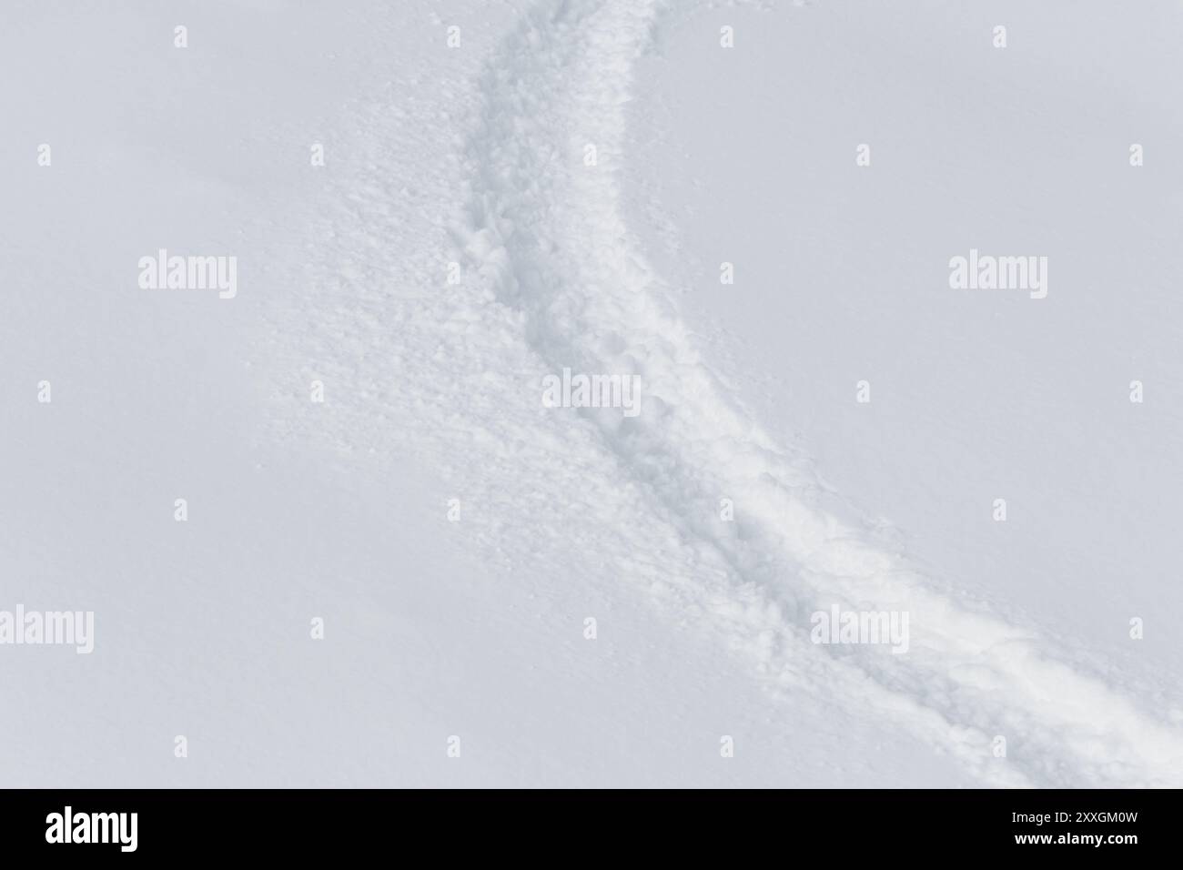 Japan snowboarding hi-res stock photography and images - Alamy