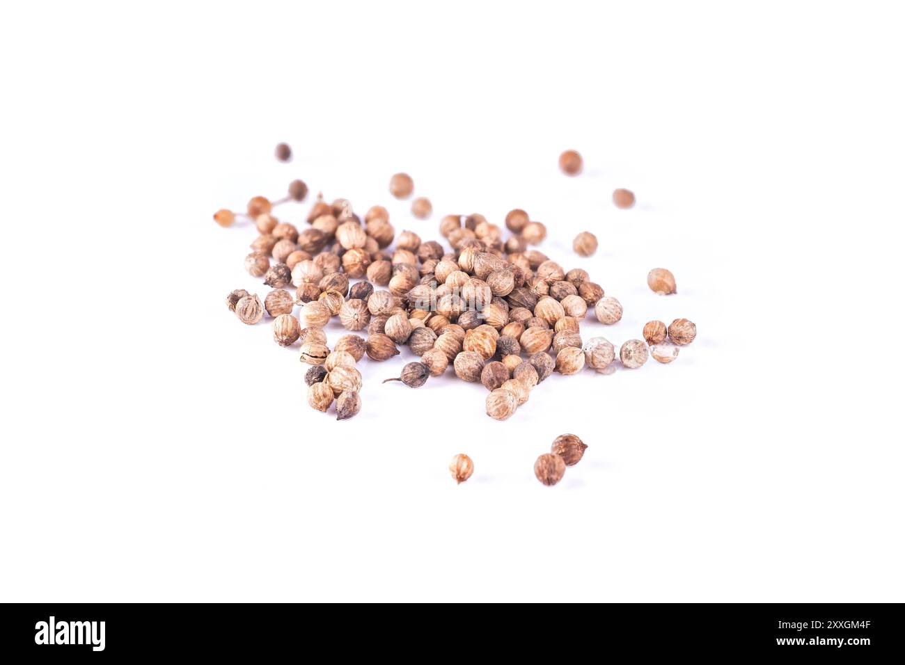 dried coriander seeds isolated on white background Stock Photo - Alamy