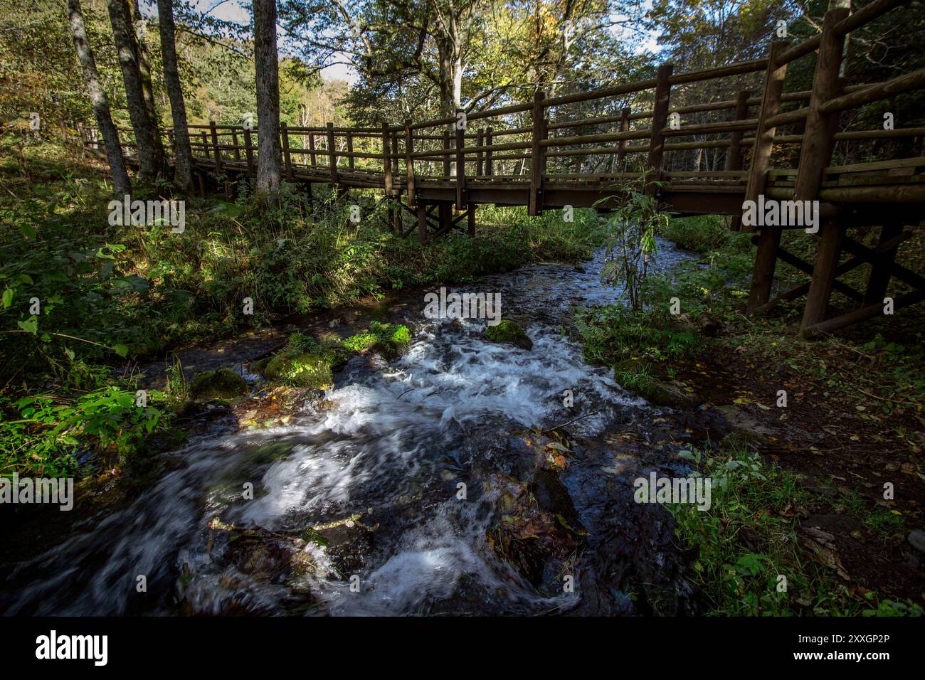 A wooden walkway over the stream flowing from Kaminokoike Pond in ...