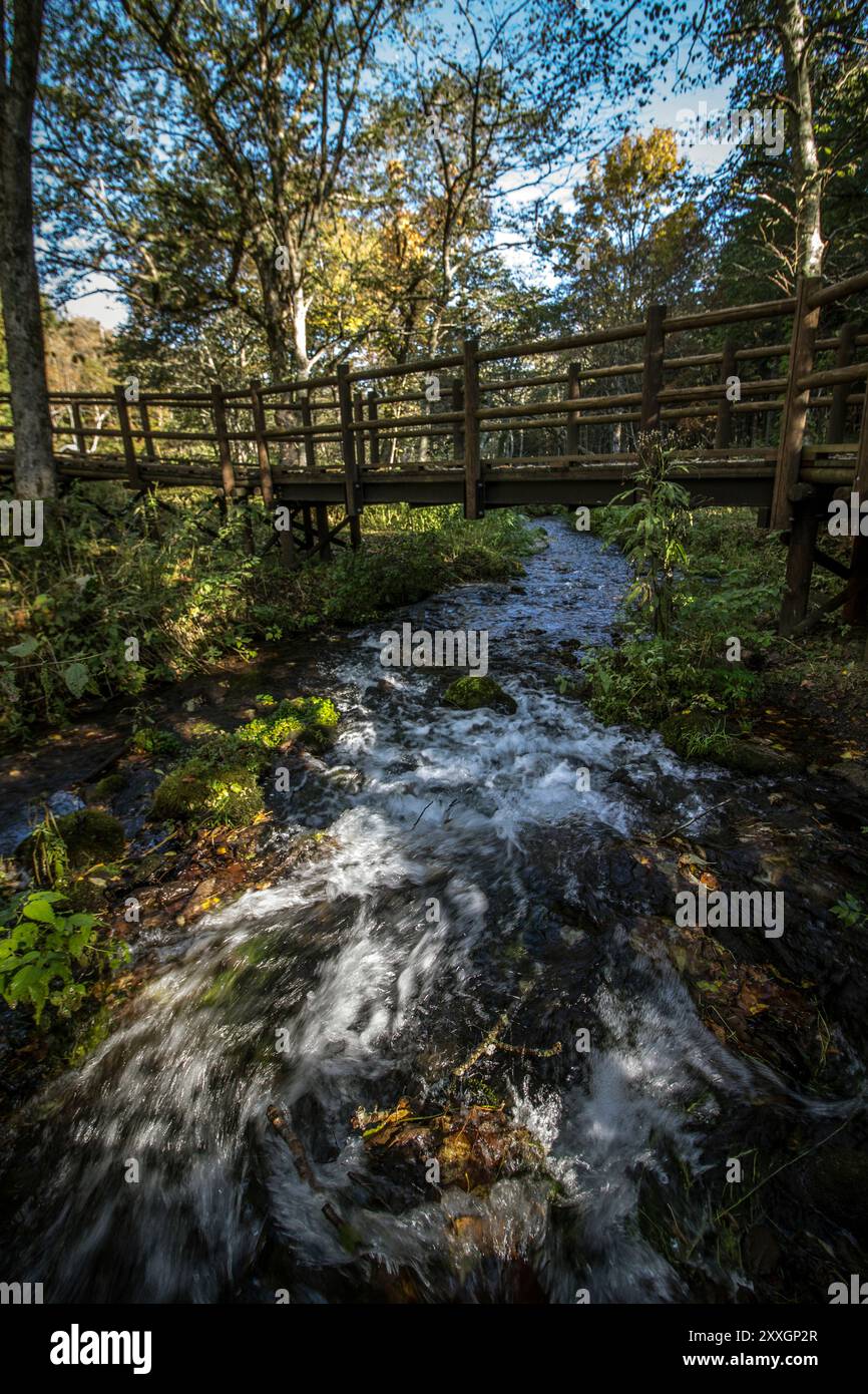 A wooden walkway over the stream flowing from Kaminokoike Pond in ...