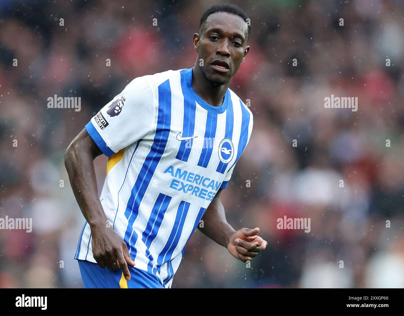 Danny welbeck of brighton 2024 hi-res stock photography and images - Alamy