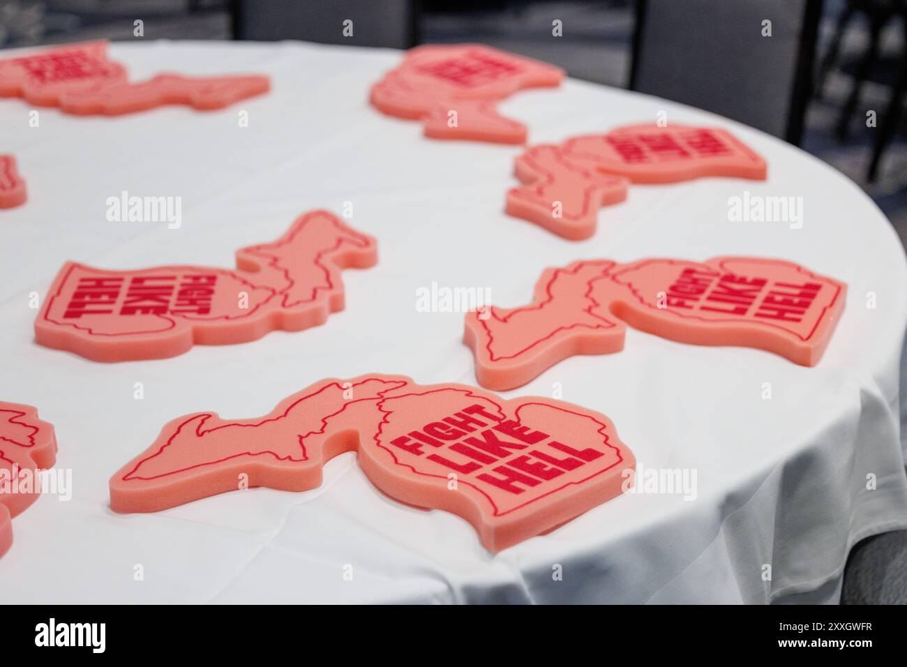 Pink foam mittens branded with Gov. Gretchen Whitmer's federal PAC are ...